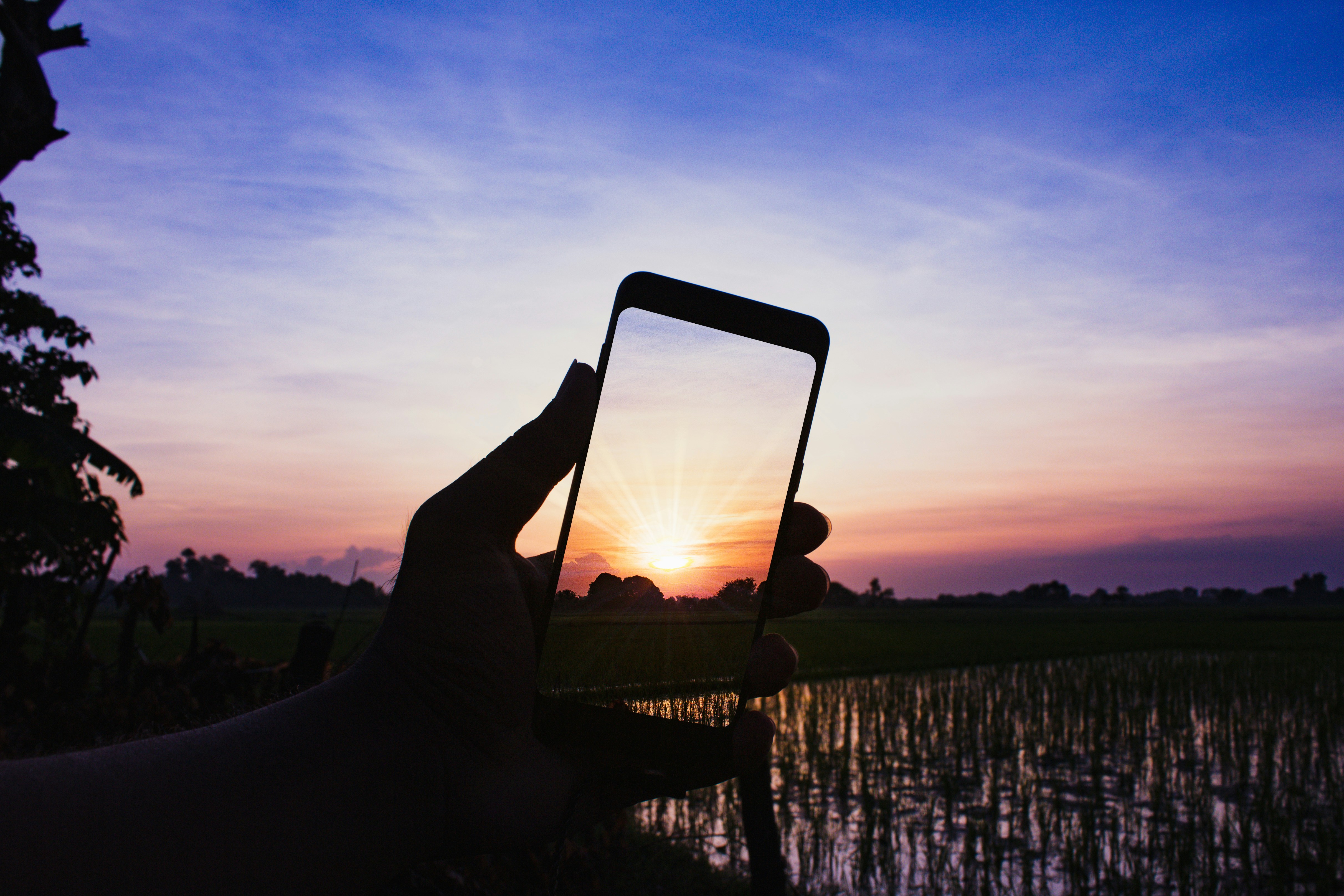 Pocket-Frame Sunset: Sun Framed by a Handheld Phone Over a Rice Field
