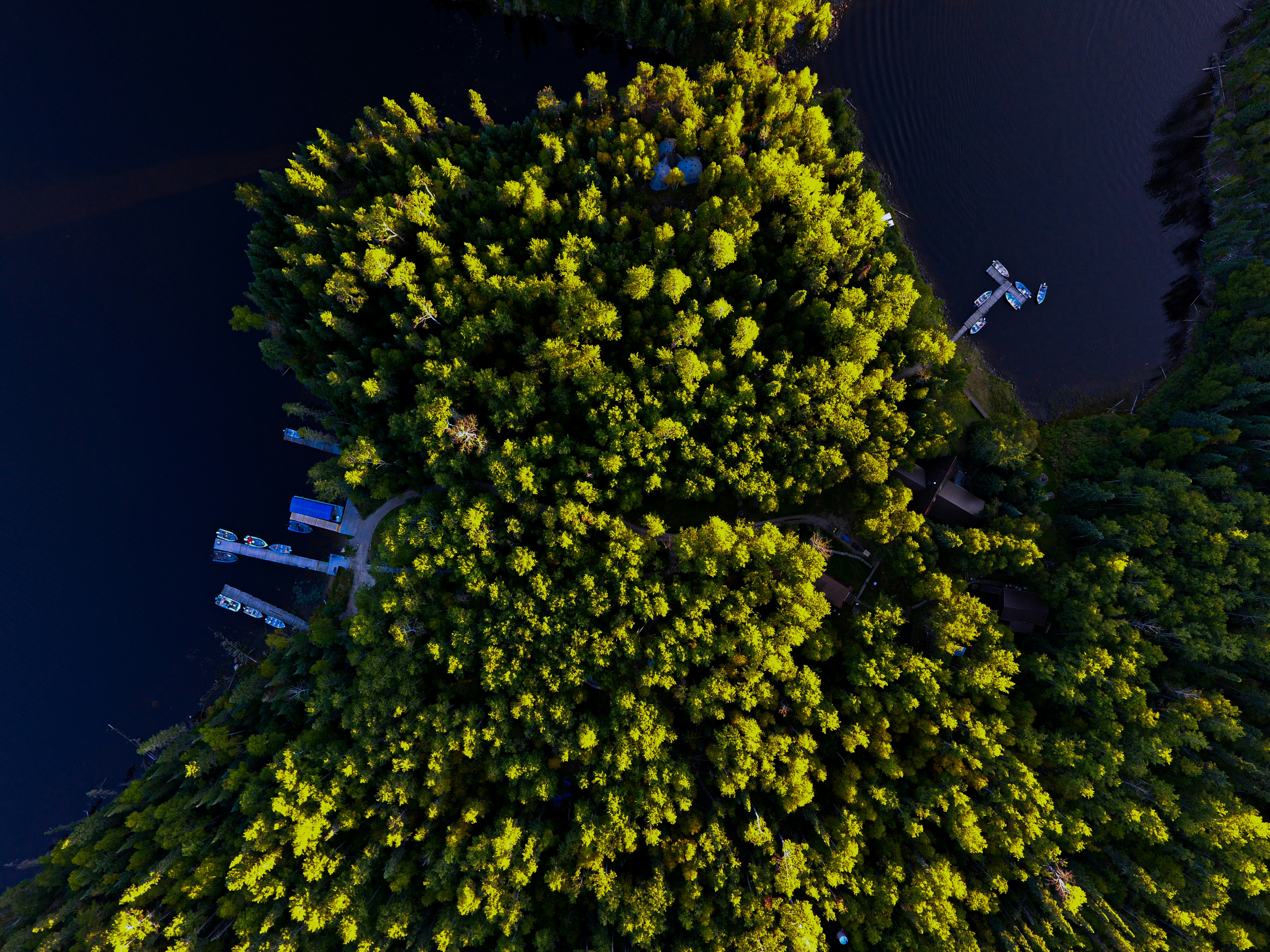 Lush green treetops surround a tranquil waterway, showcasing a harmonious blend of nature and human presence.