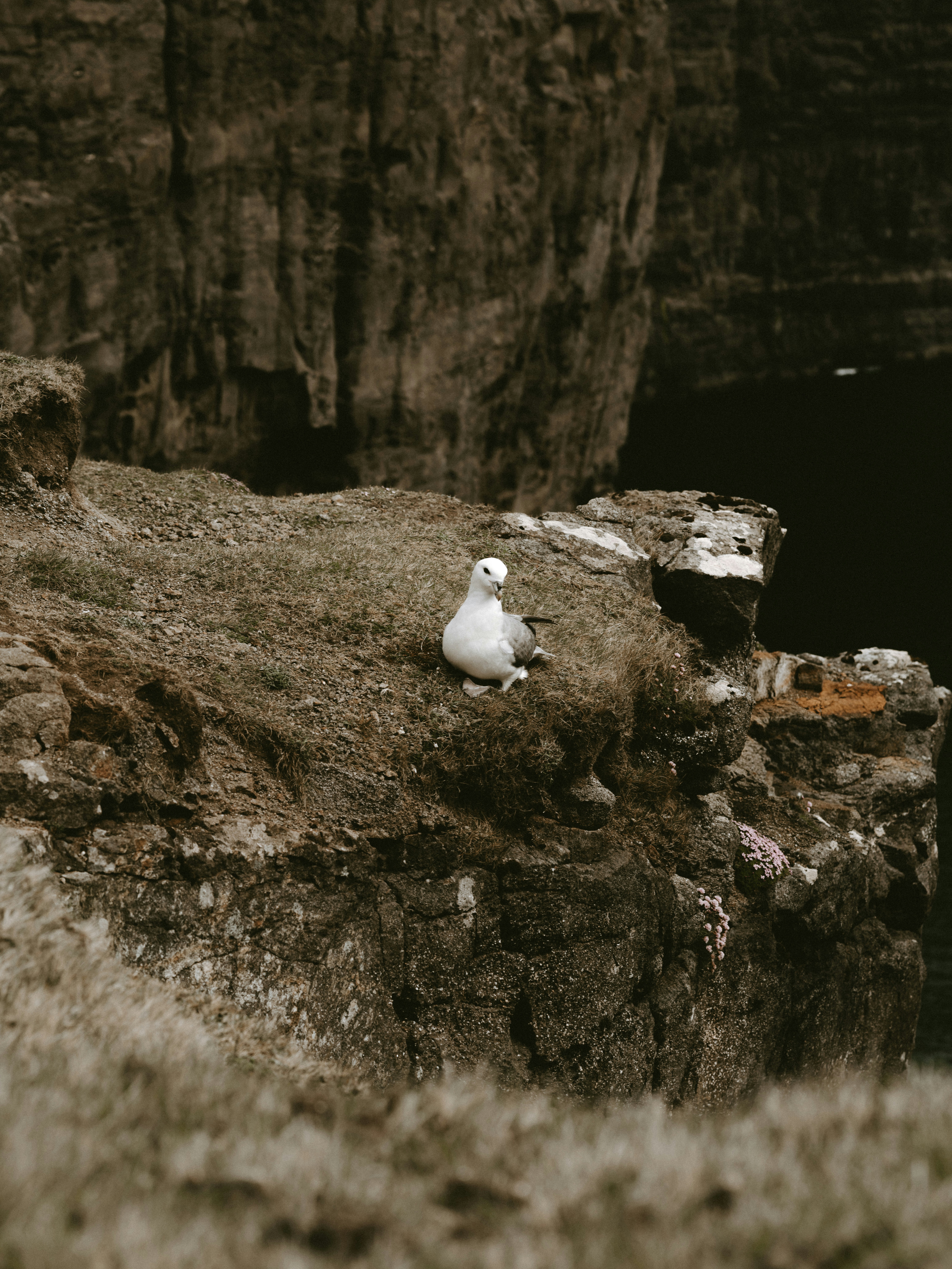 Photo by Annie Spratt with Ricoh PENTAX 645Z