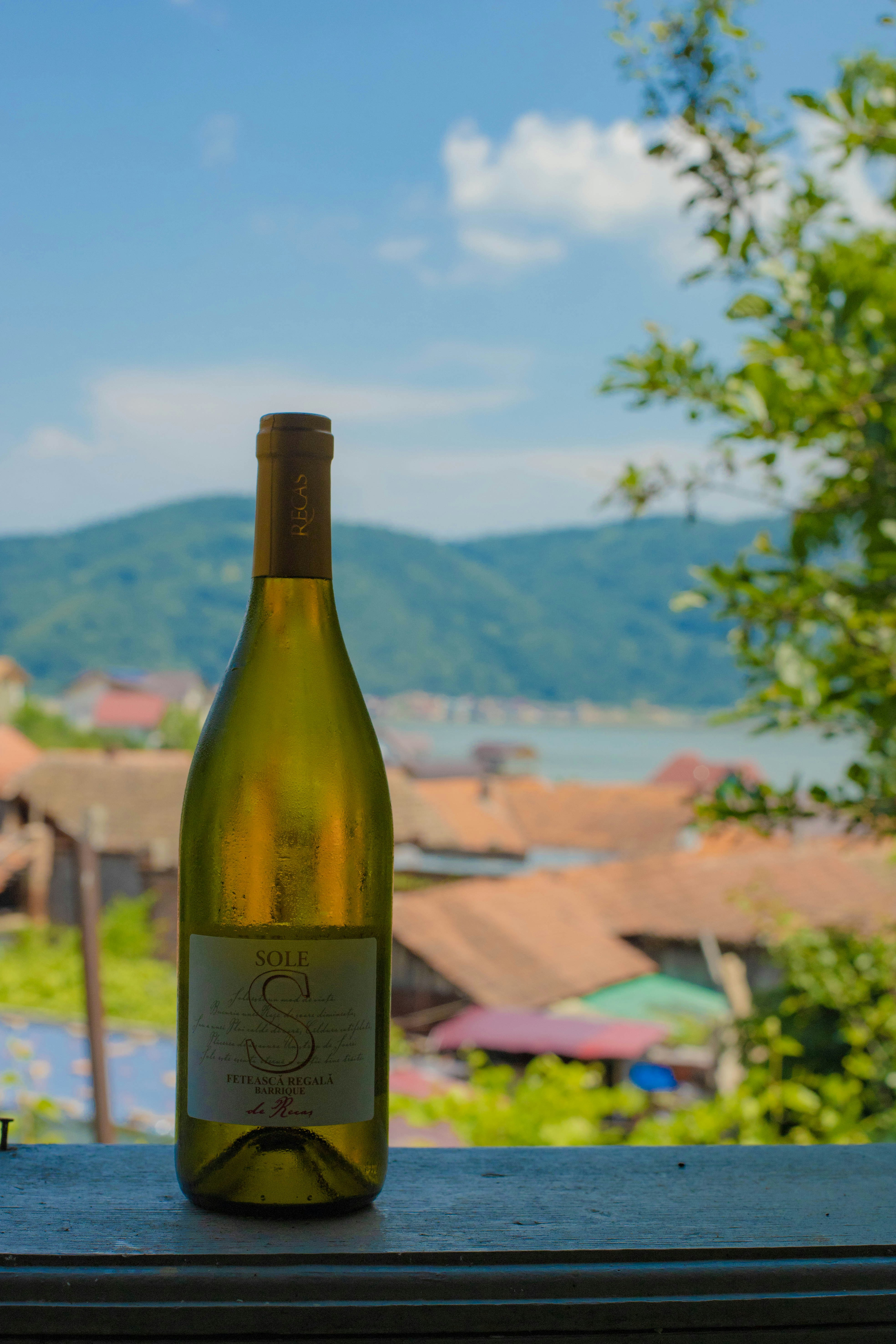 A bottle of white wine stands prominently in the foreground, framed by lush greenery and a picturesque view of hills and rooftops in the background.