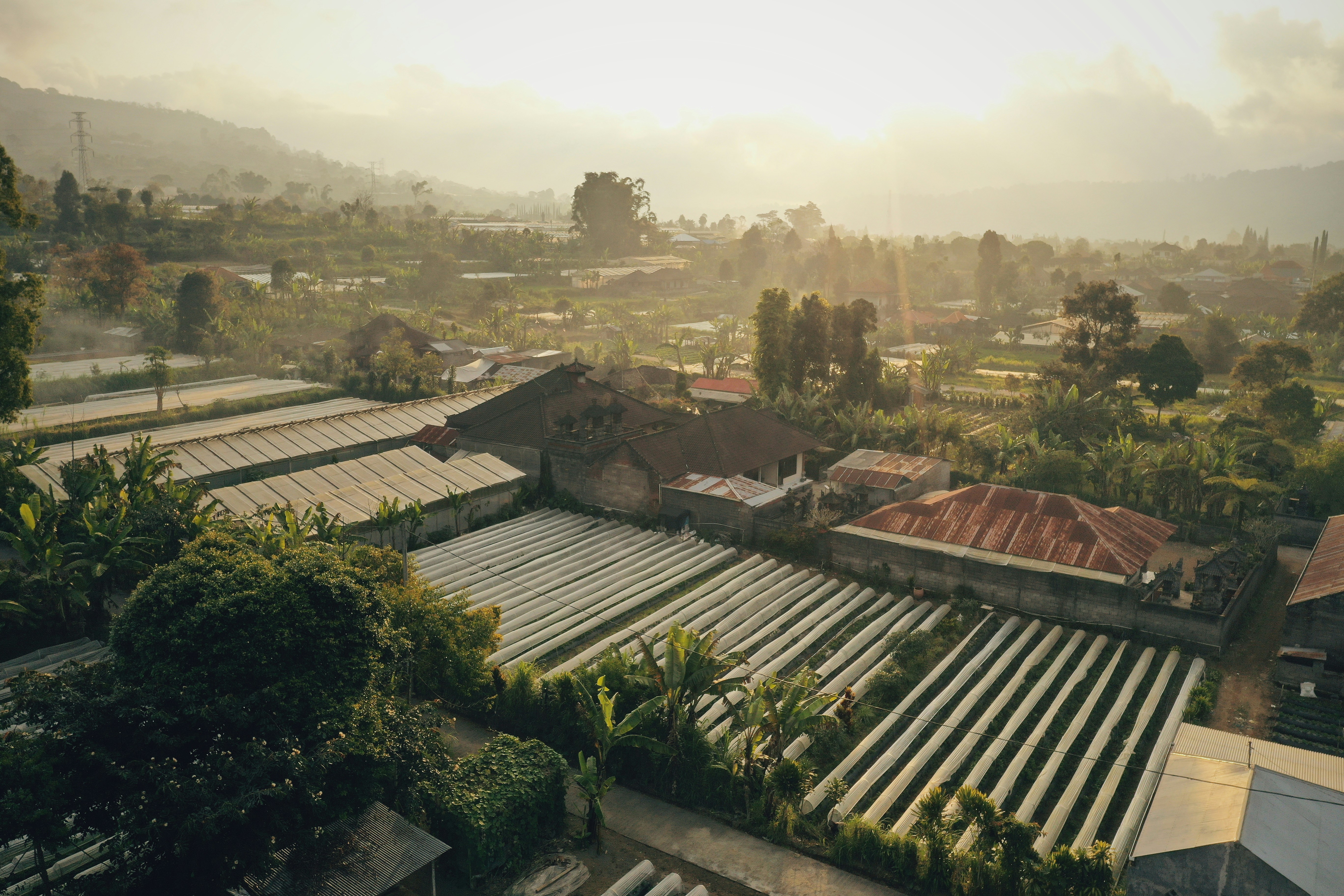 Aerial view of lush fields and rooftops under a softly glowing sunrise.