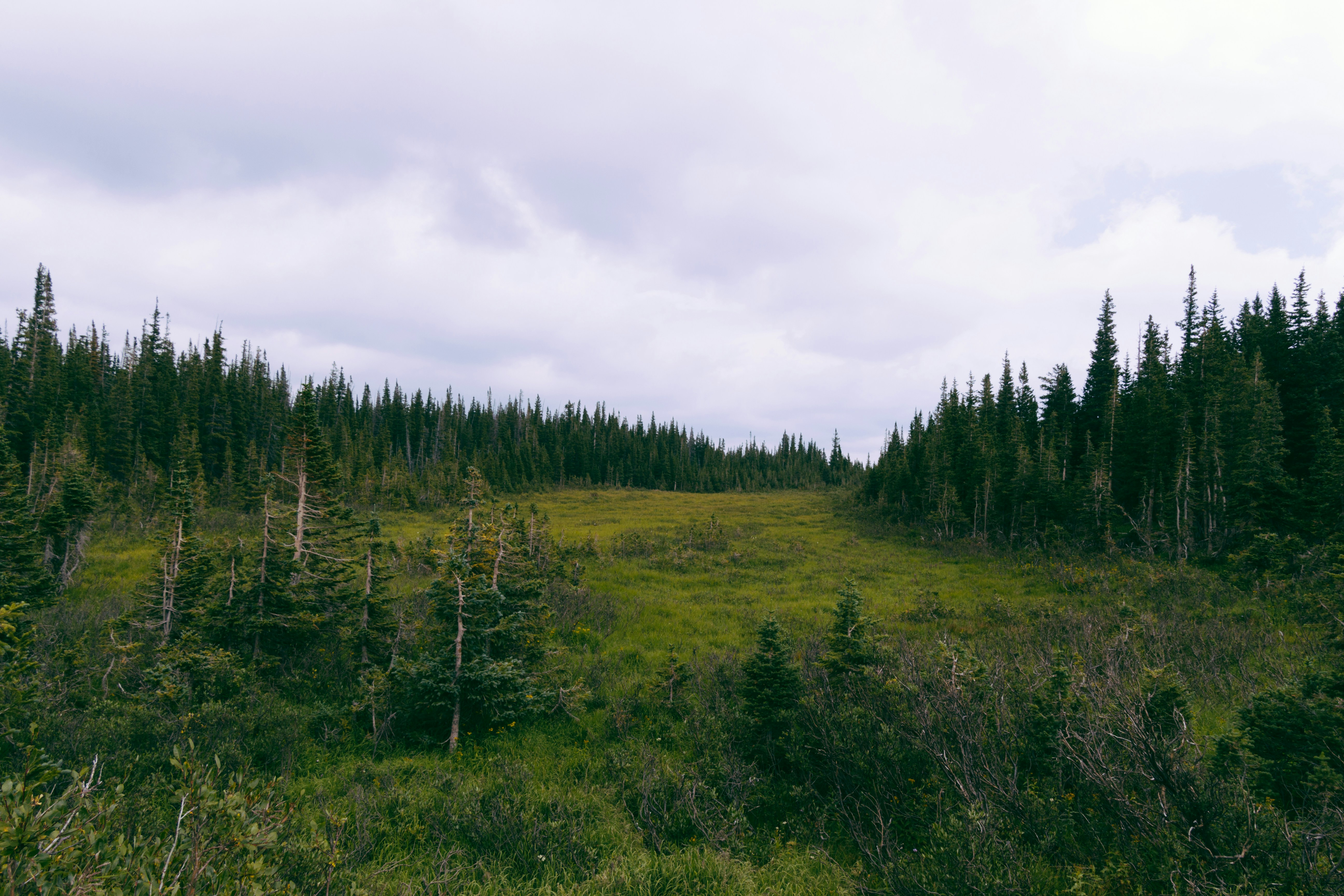 Ward Pictures | Download Free Images on Unsplash