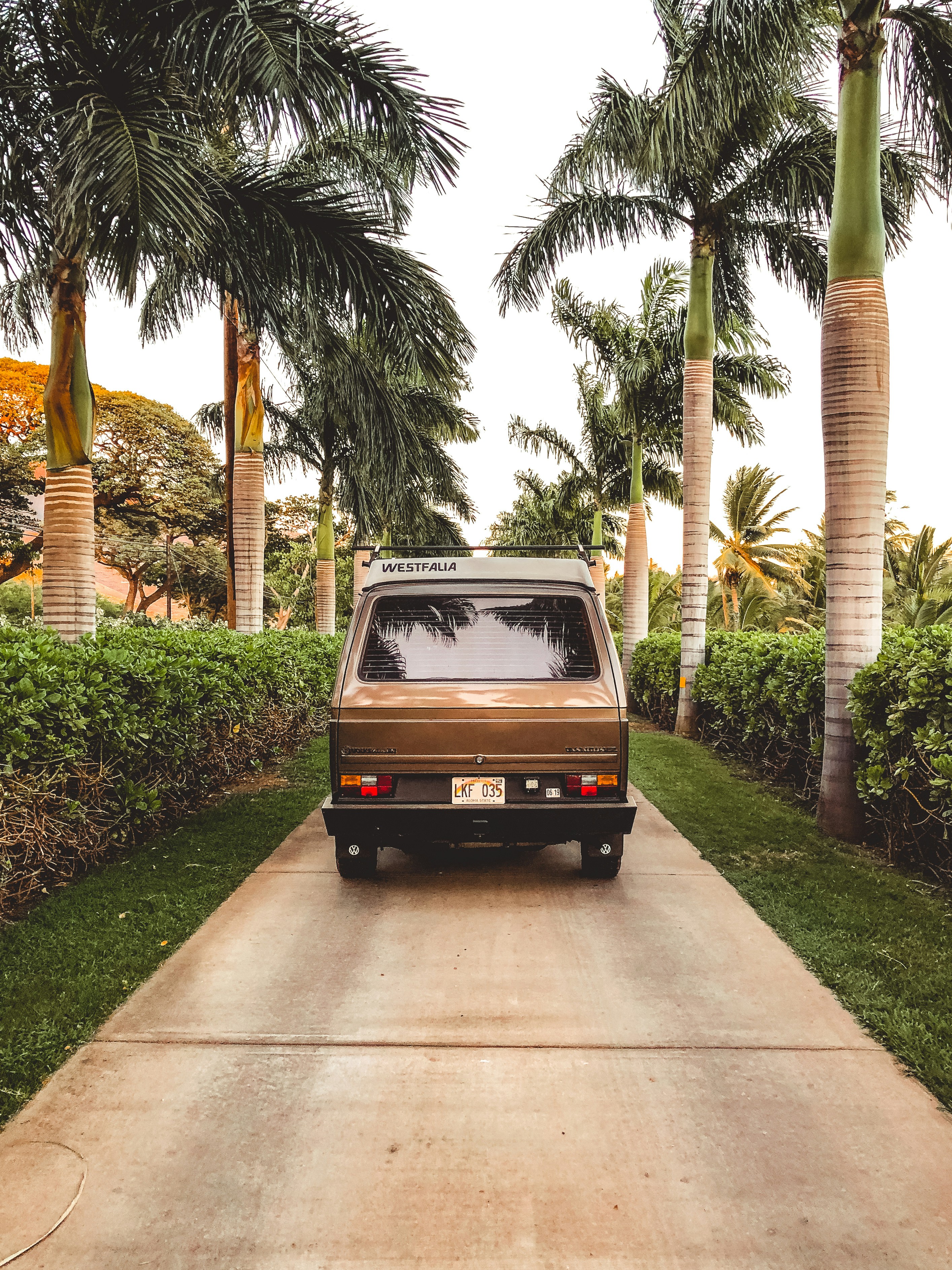 Photo by Neora Aylon with Apple iPhone 8