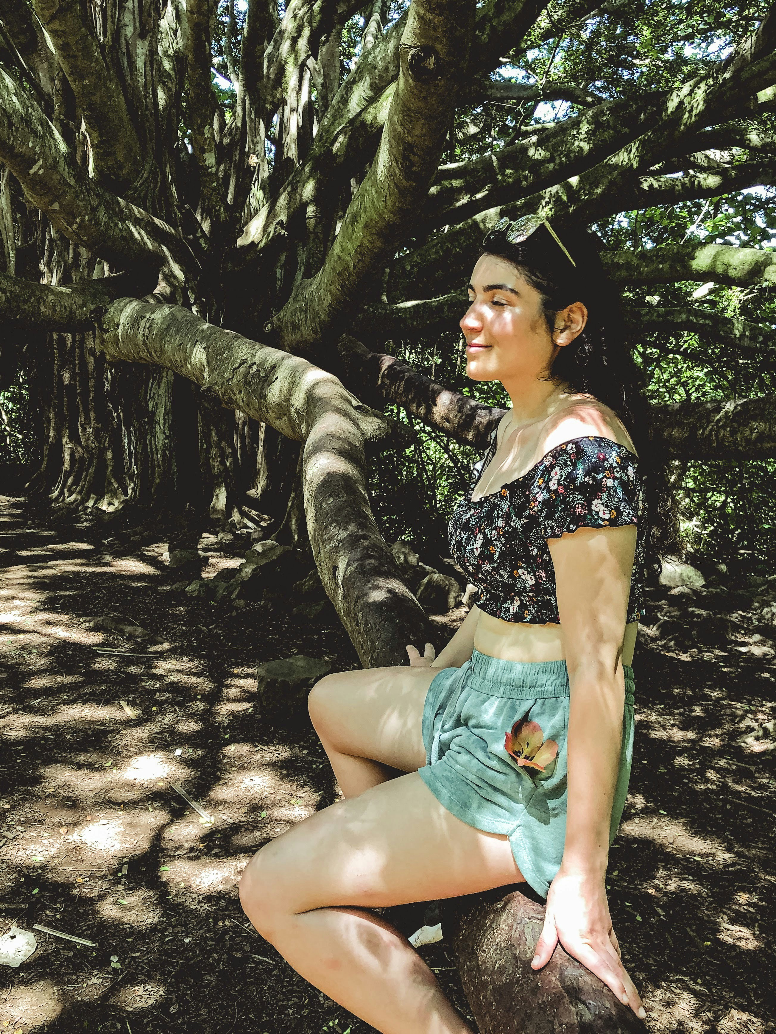woman sitting on tree branch at daytime