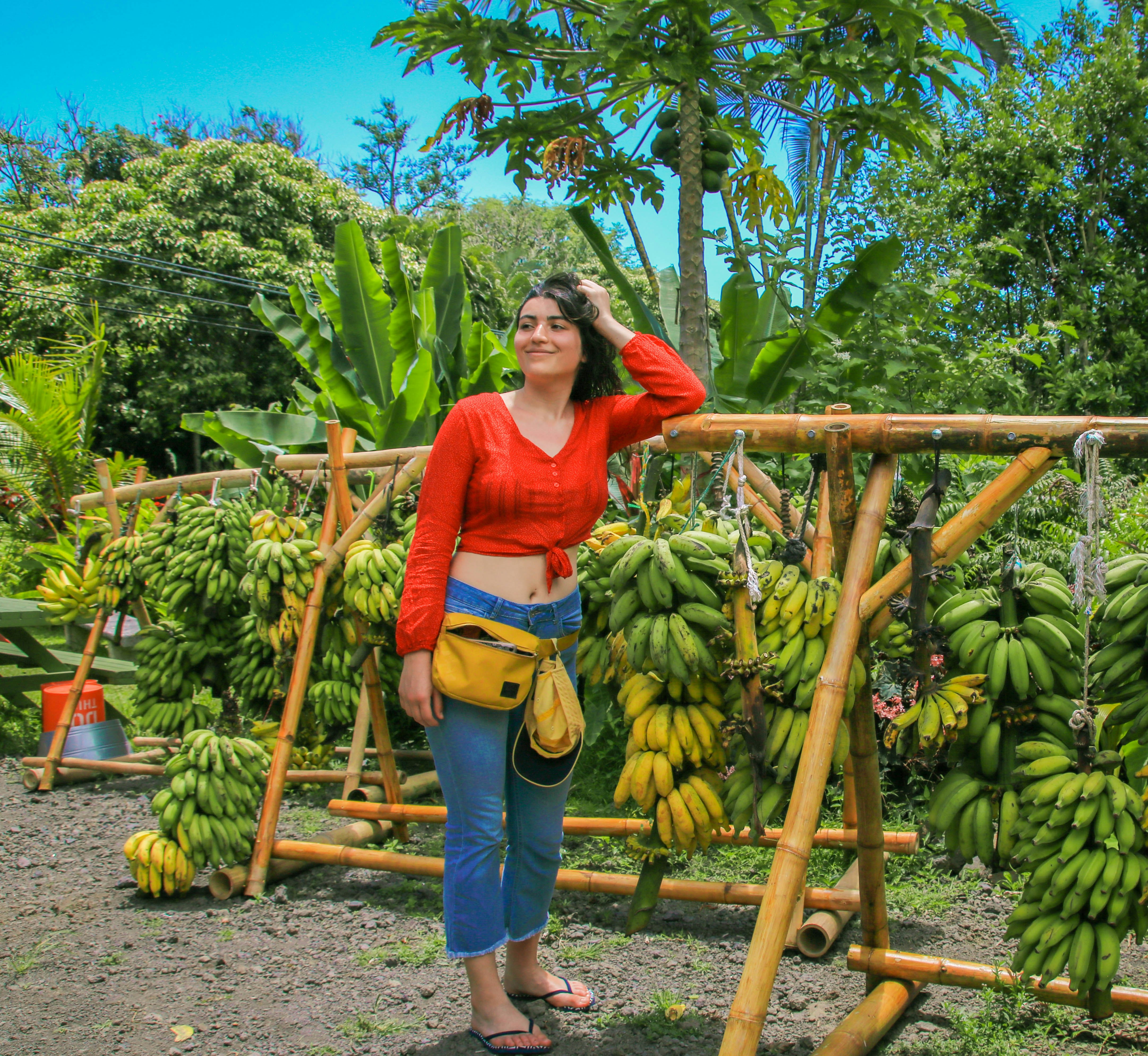 Crimson Top, Banana Bounty: Portrait Framed by a Tropical Banana Stand