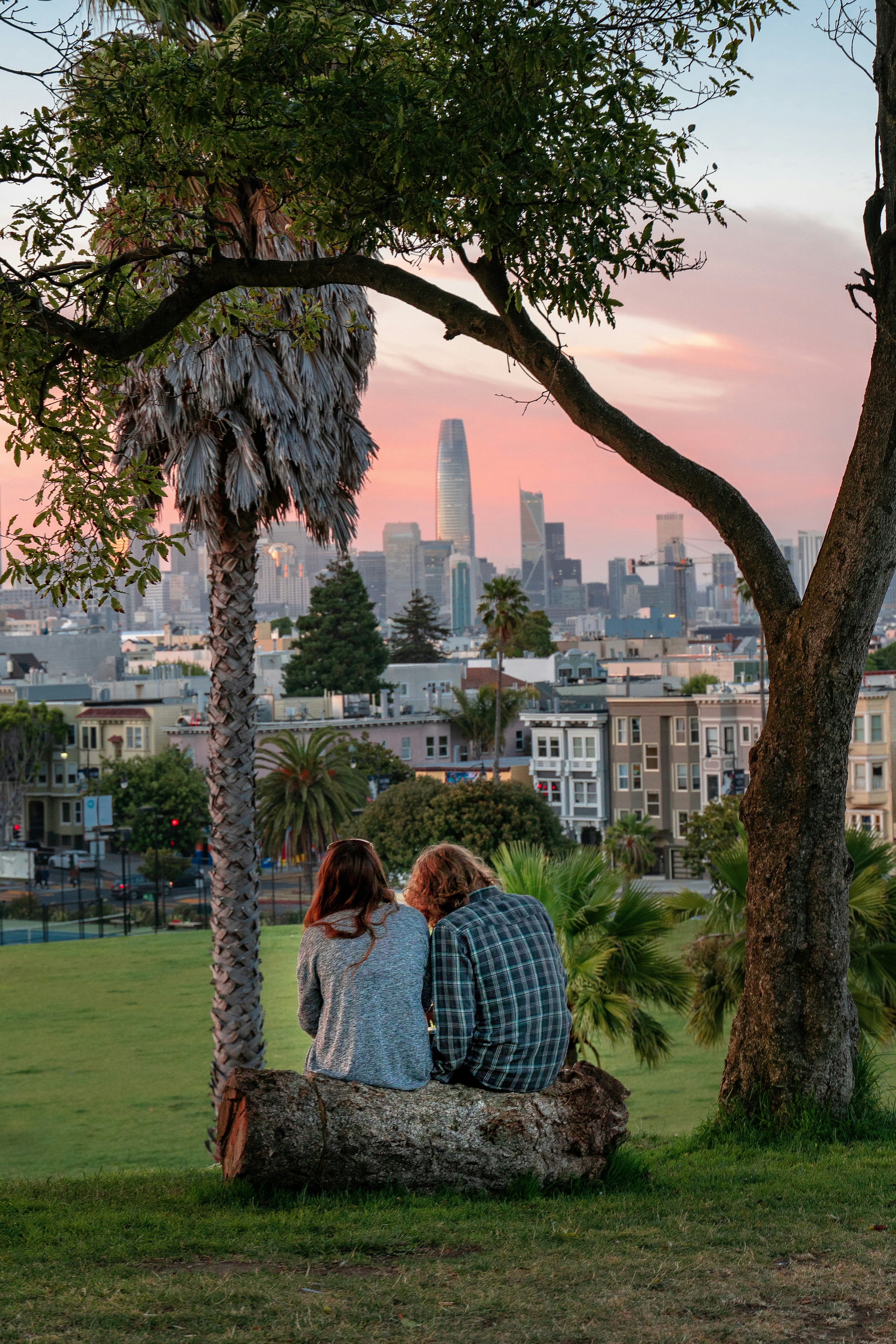 Two Friends on a Log Watching a City Sunset