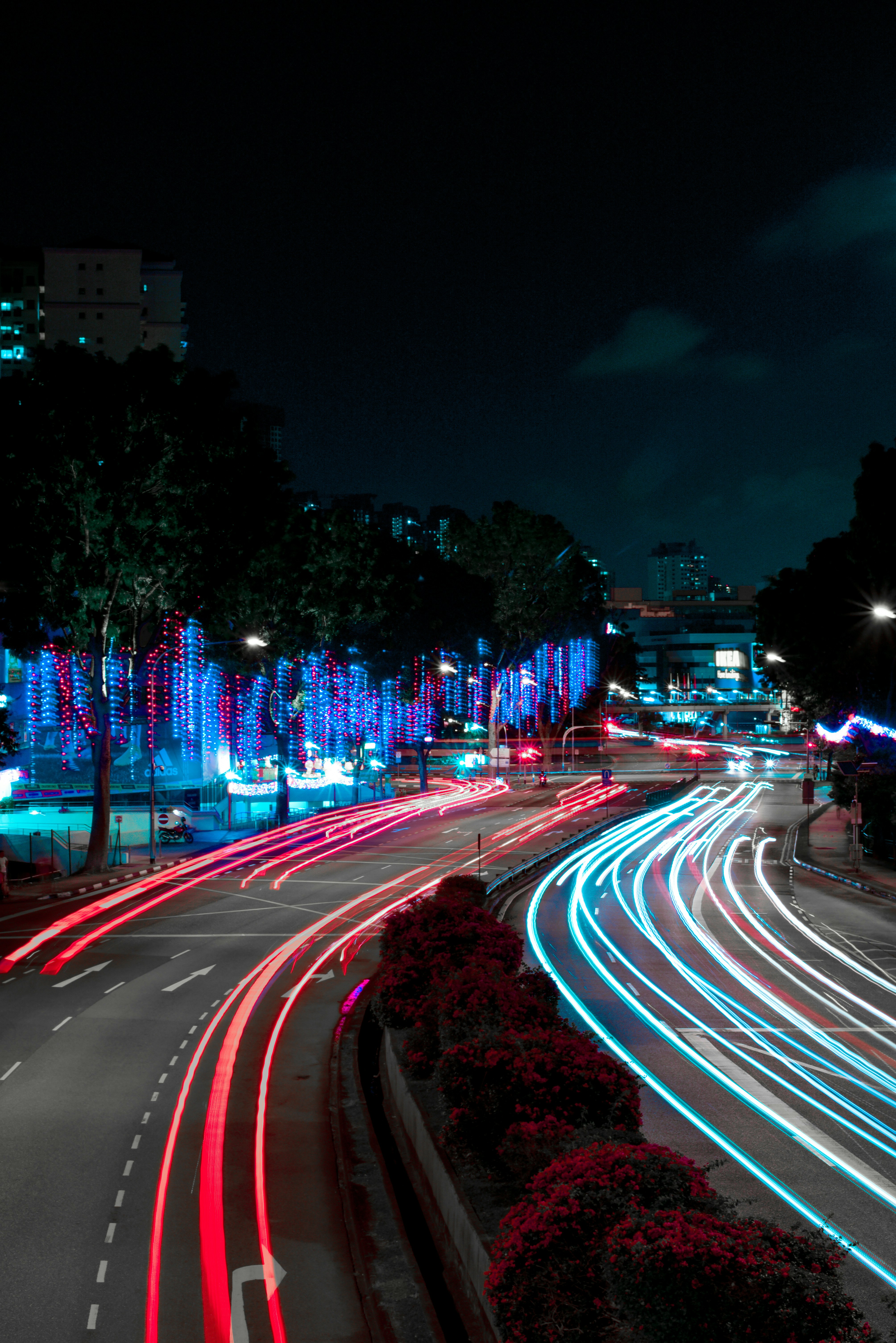 Neon Nightrun: Light Trails Through a City Boulevard