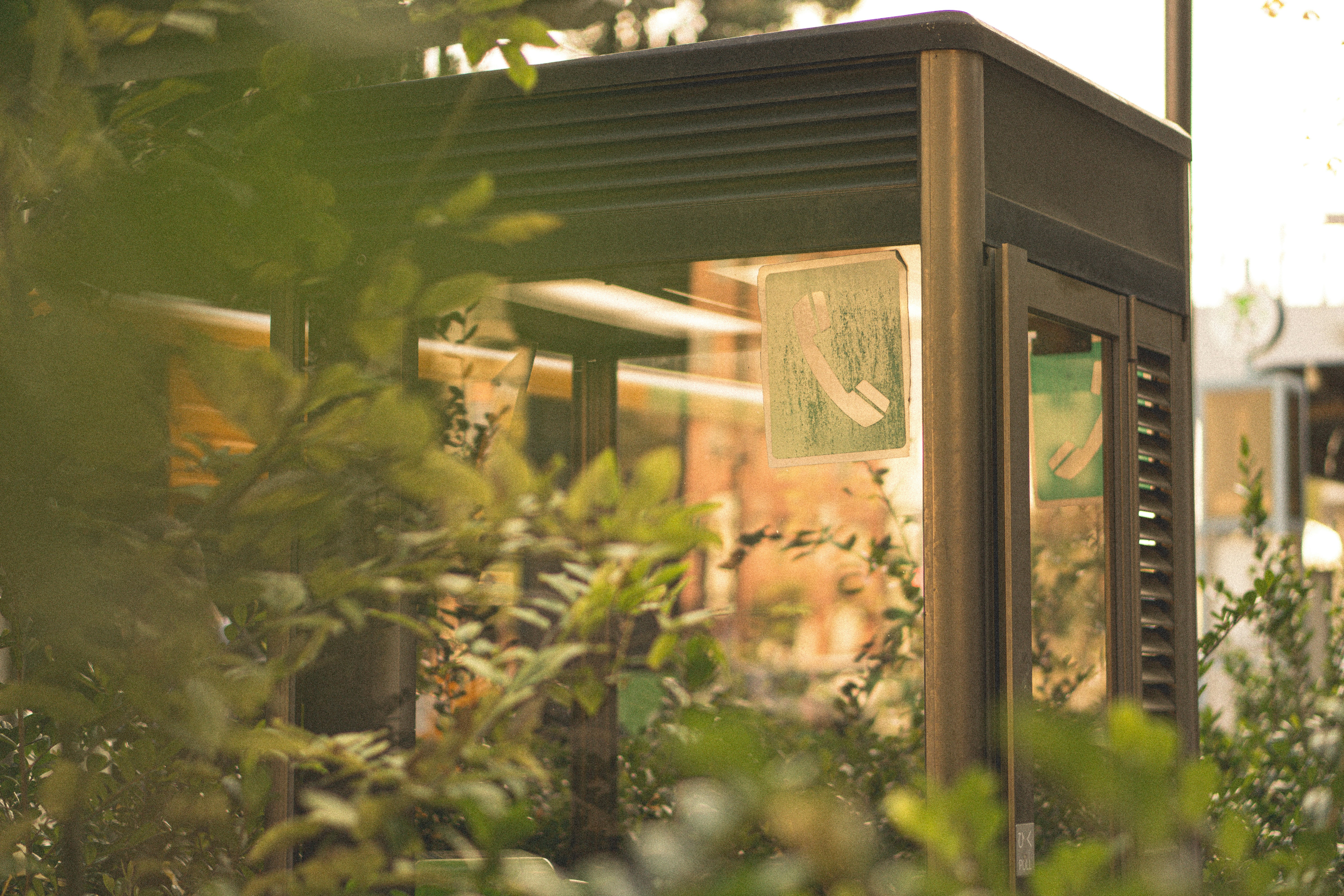 Veiled Booth: a Vintage Phone Box Hidden in Garden Foliage
