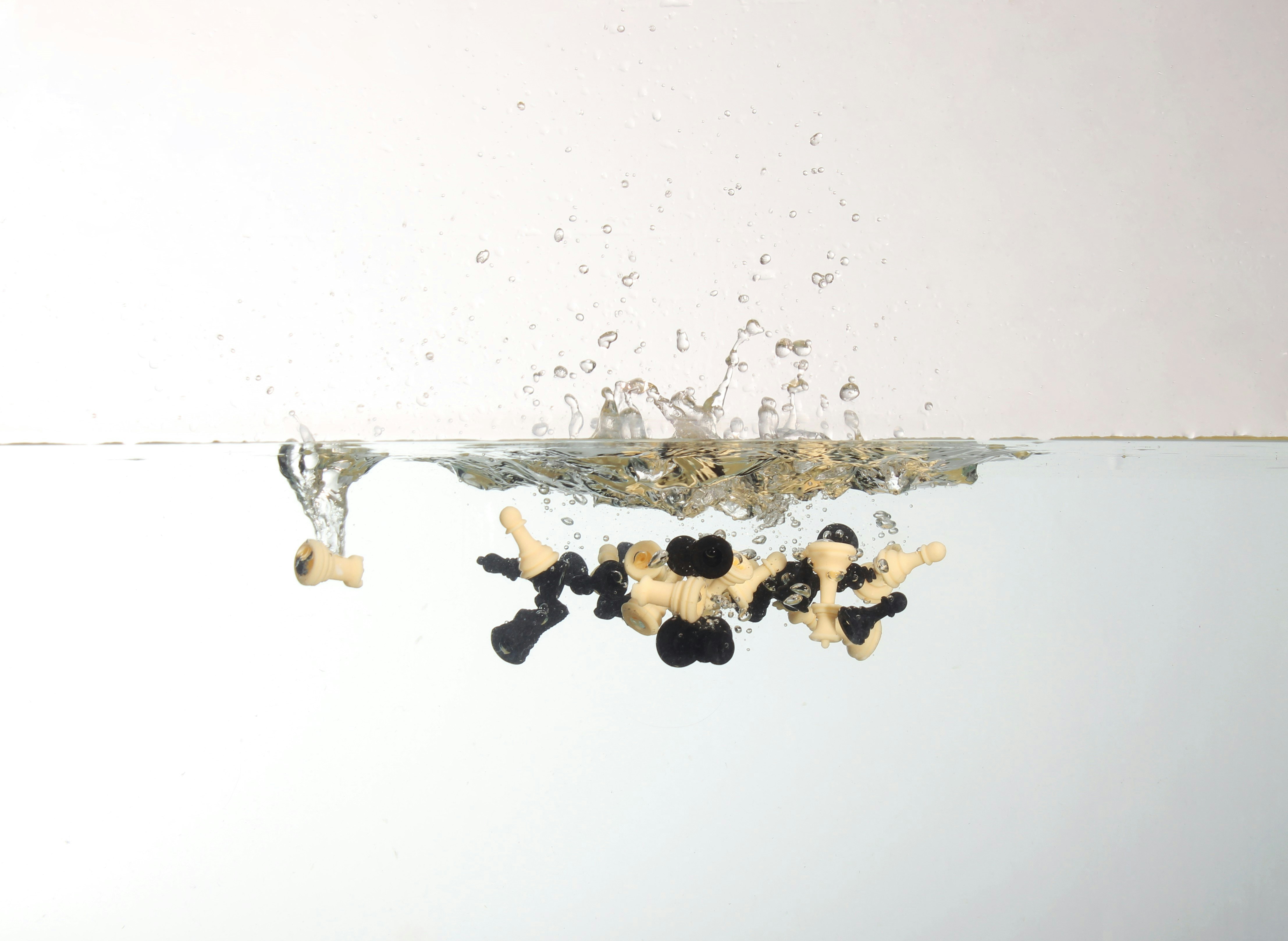 A group of black and white objects floating in water photo – Free Plant ...