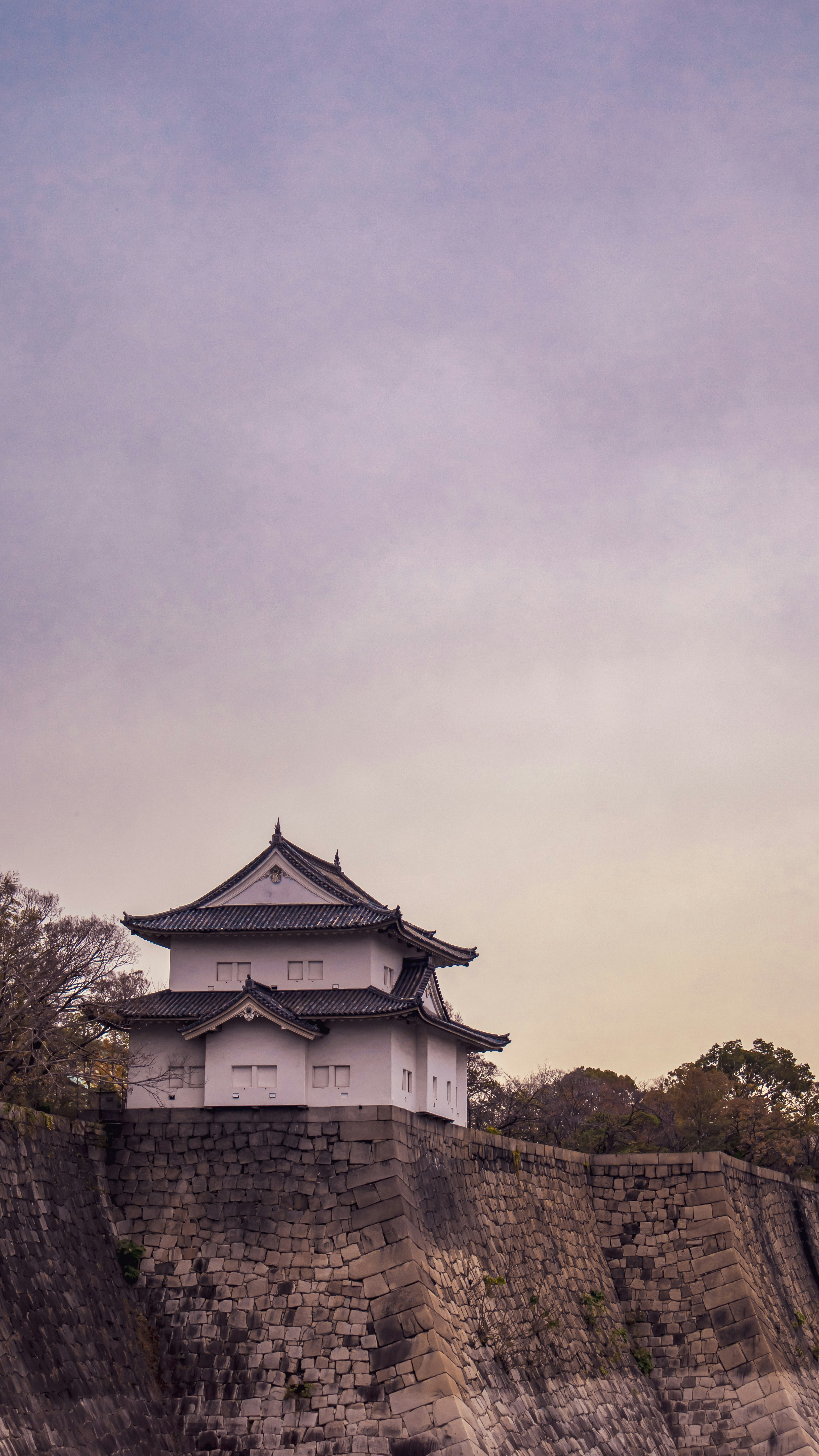 Traditional Japanese castle perched on a stone wall, surrounded by trees under a pastel sky.
