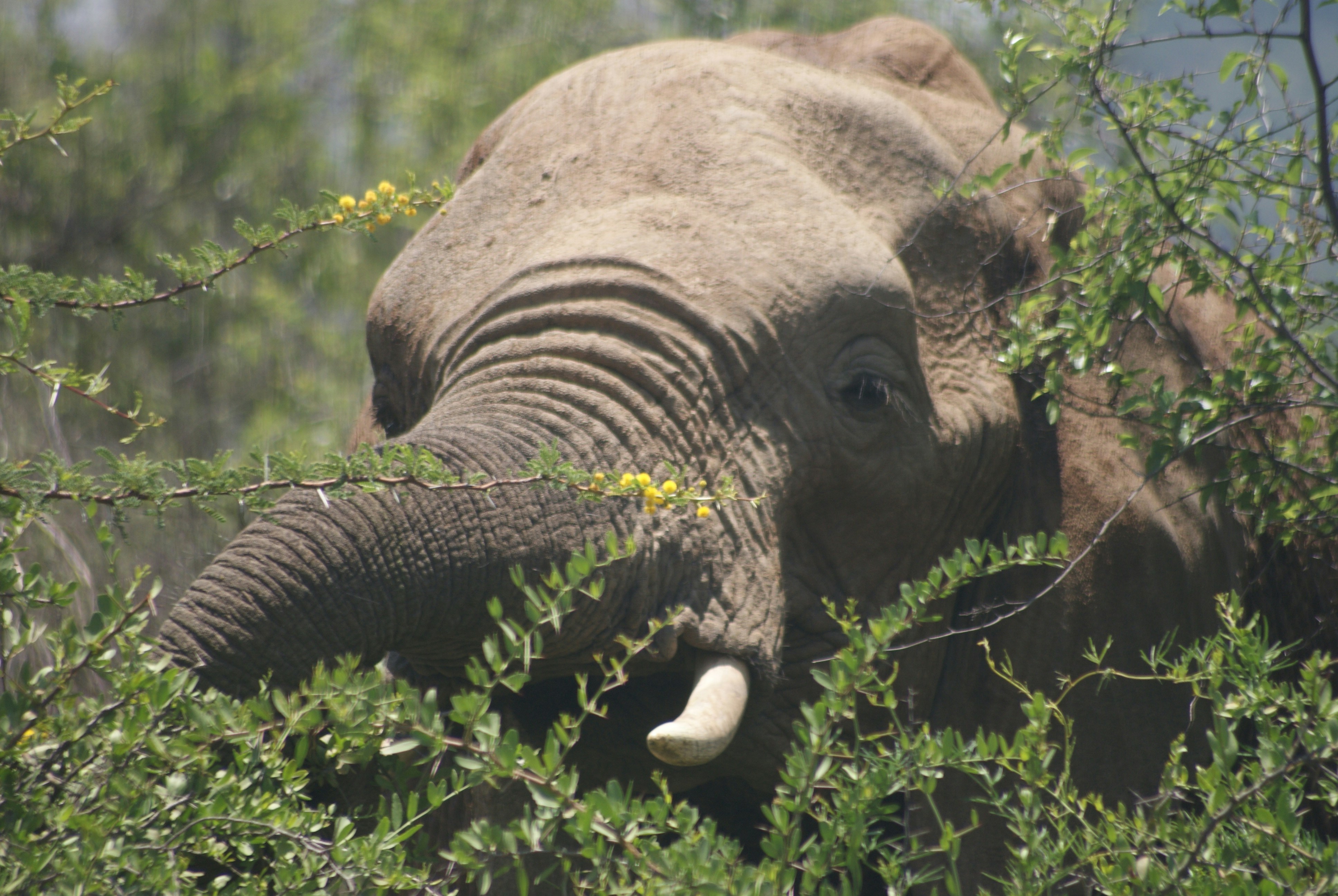 Sunil Menon (@sunilinza) | Comunidade de fotos da Unsplash