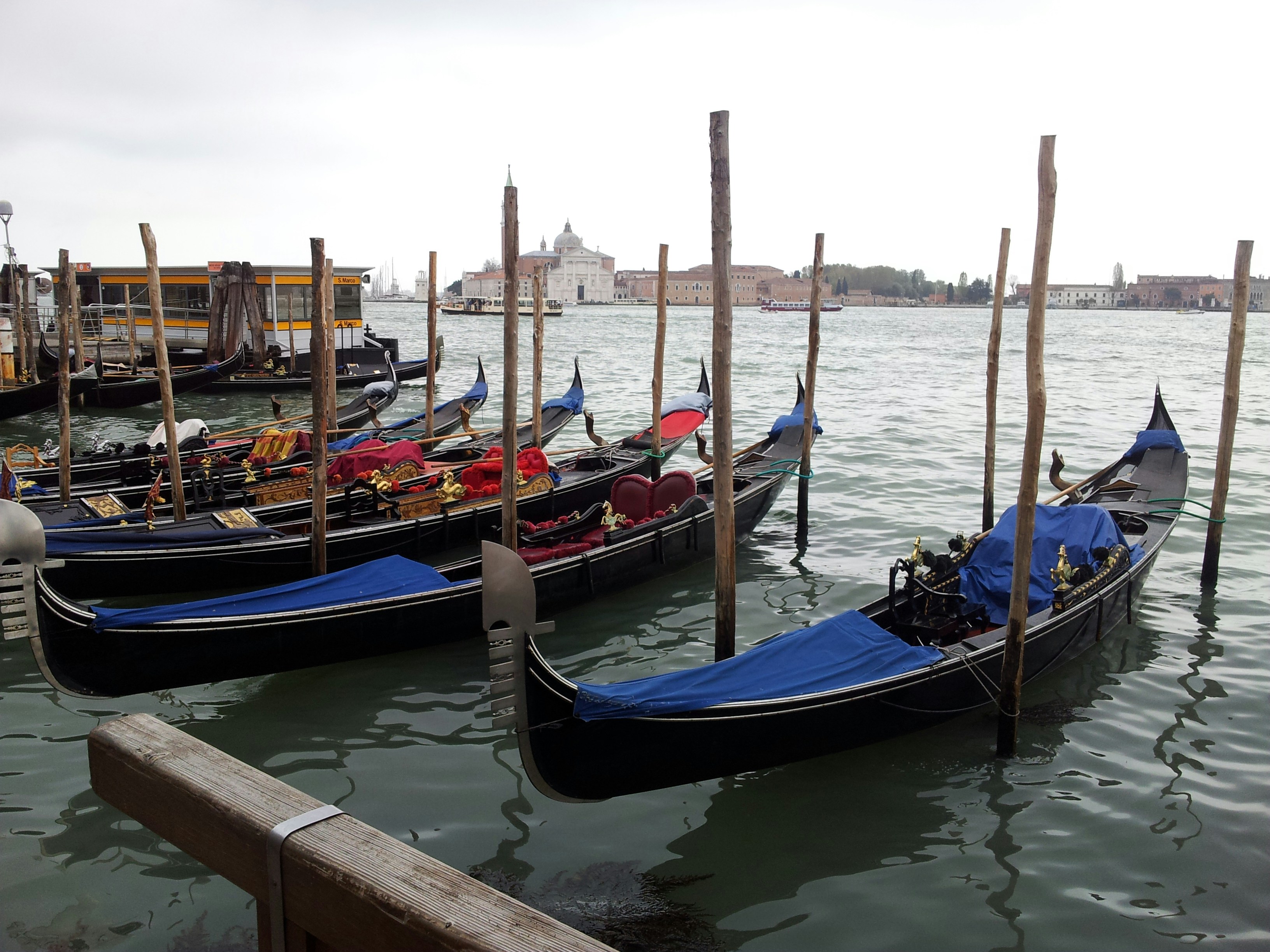 Blue Canopy Gondolas Nest Along Weathered Poles in a Quiet Venetian Morning