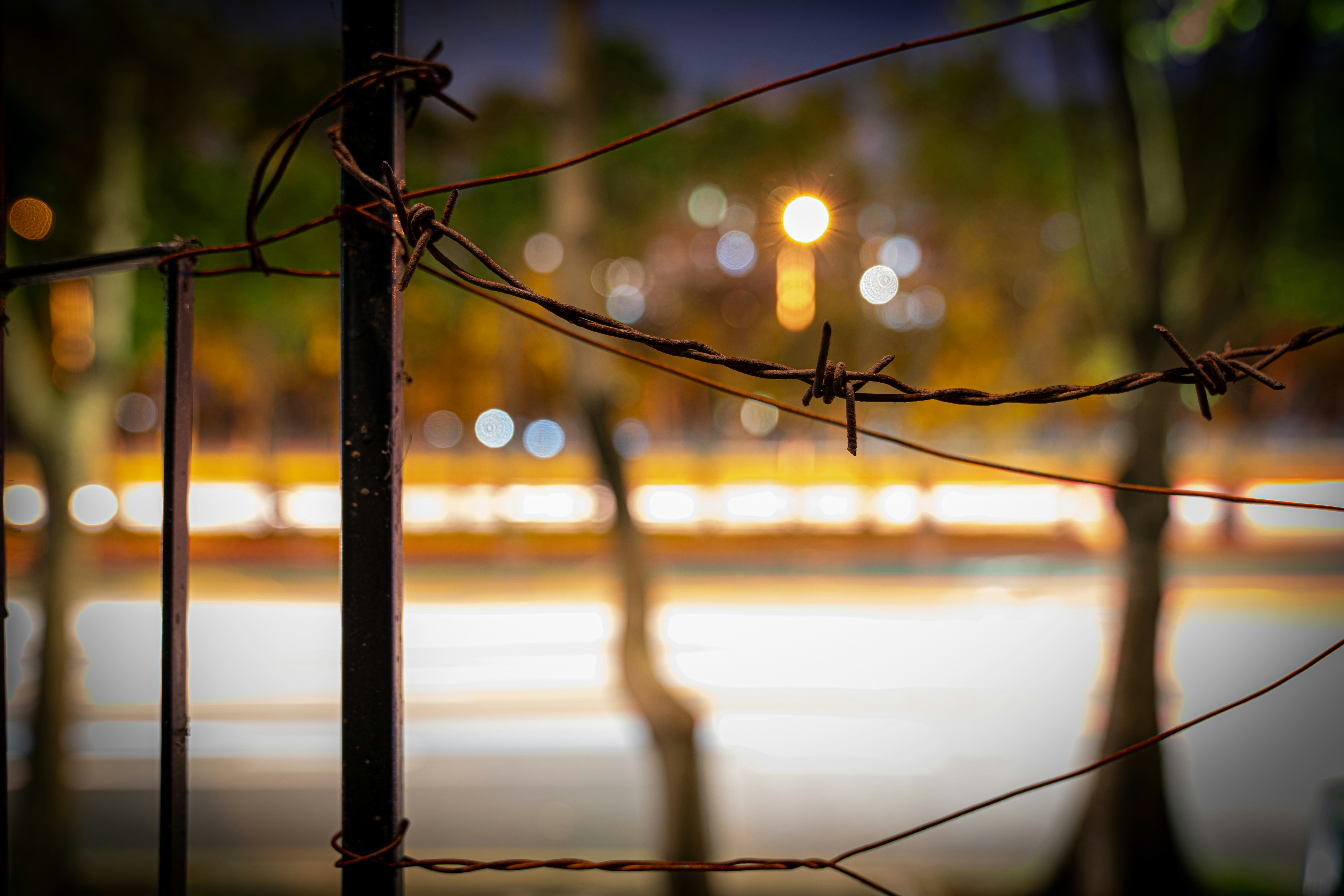 A close up of a barbed wire fence at night photo – Free Blur Image on ...