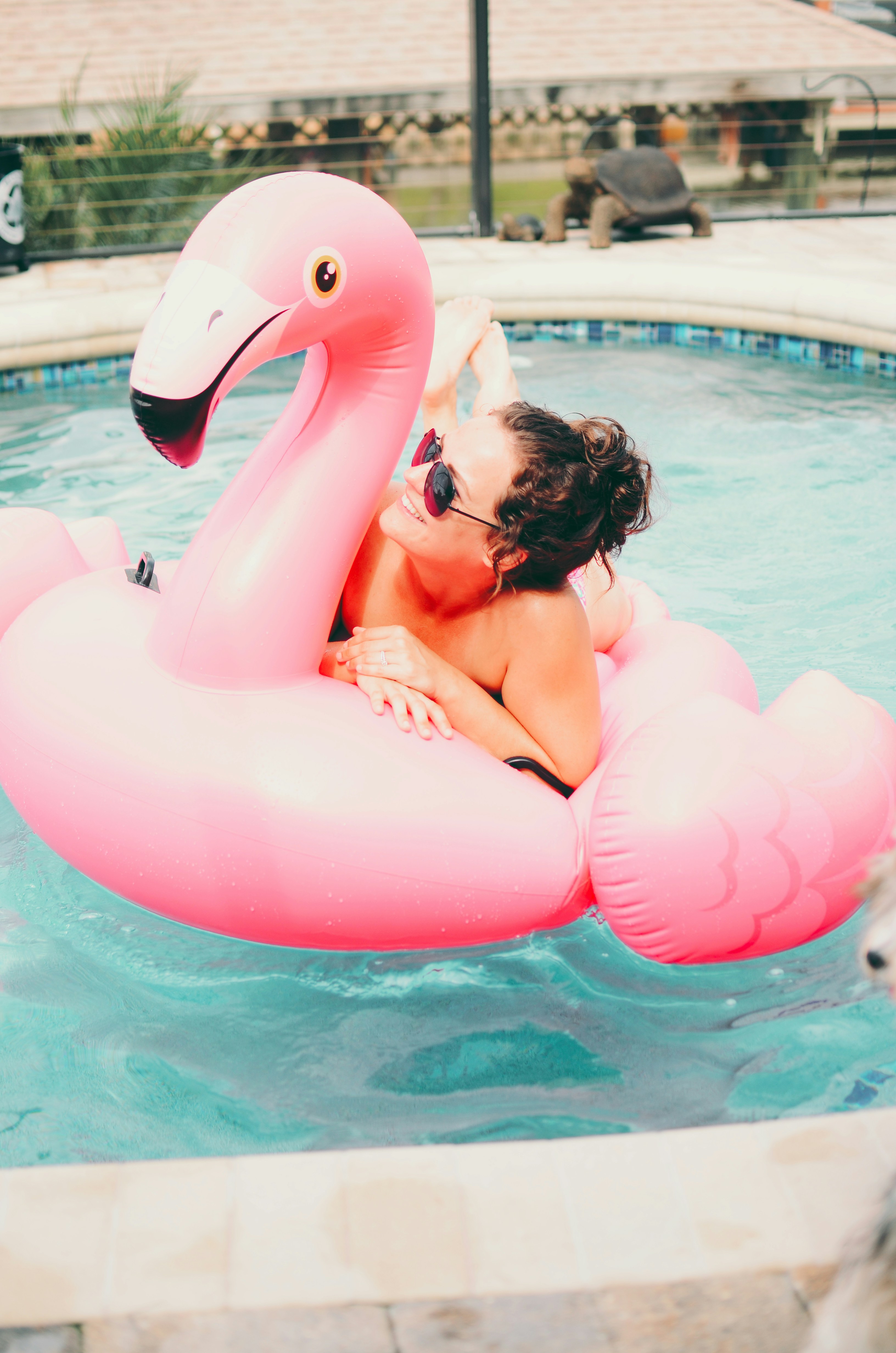 Pink Flamingo Escape: Poolside Pause with a Sunny Float