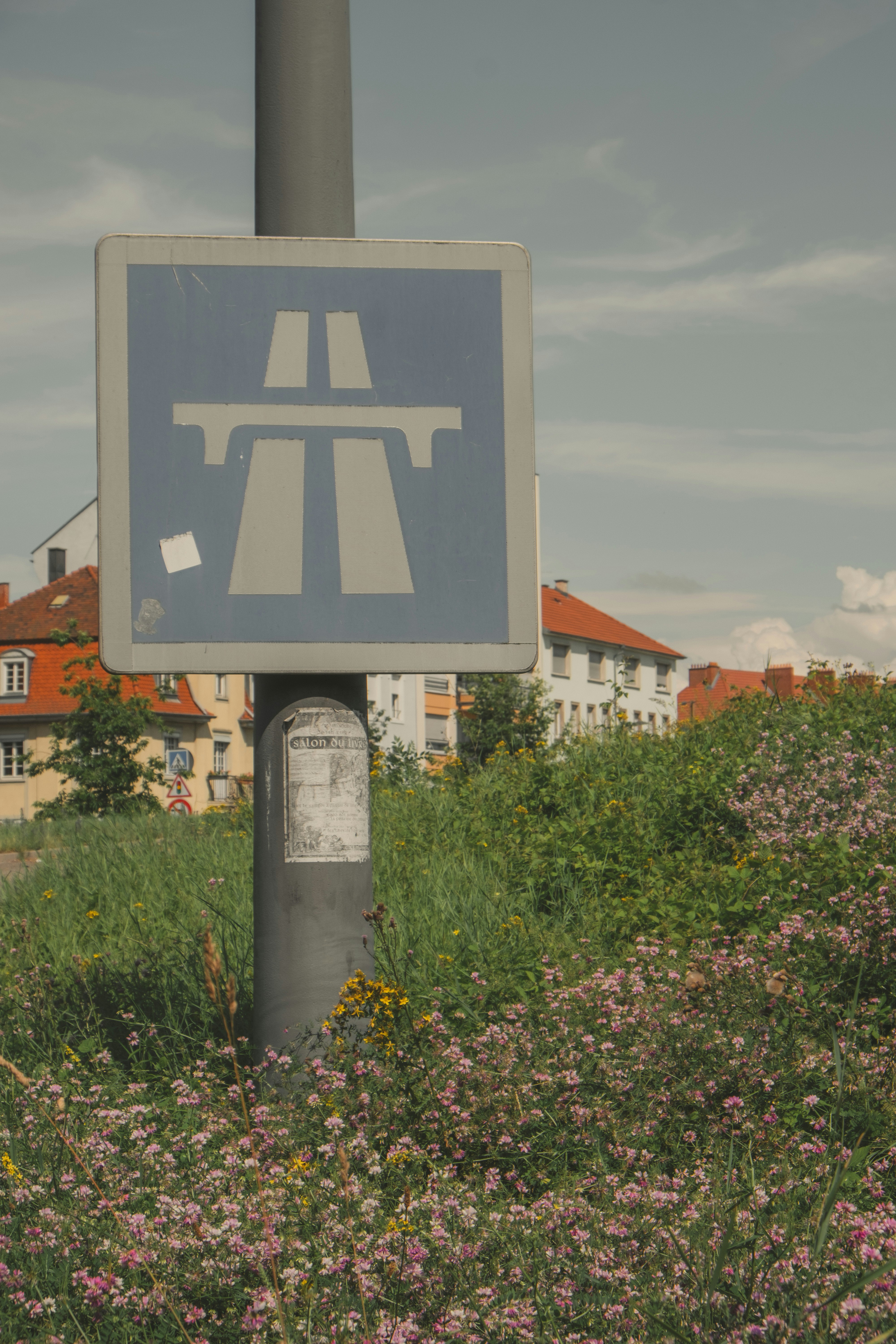Signpost Amid Meadow of Pink Flowers