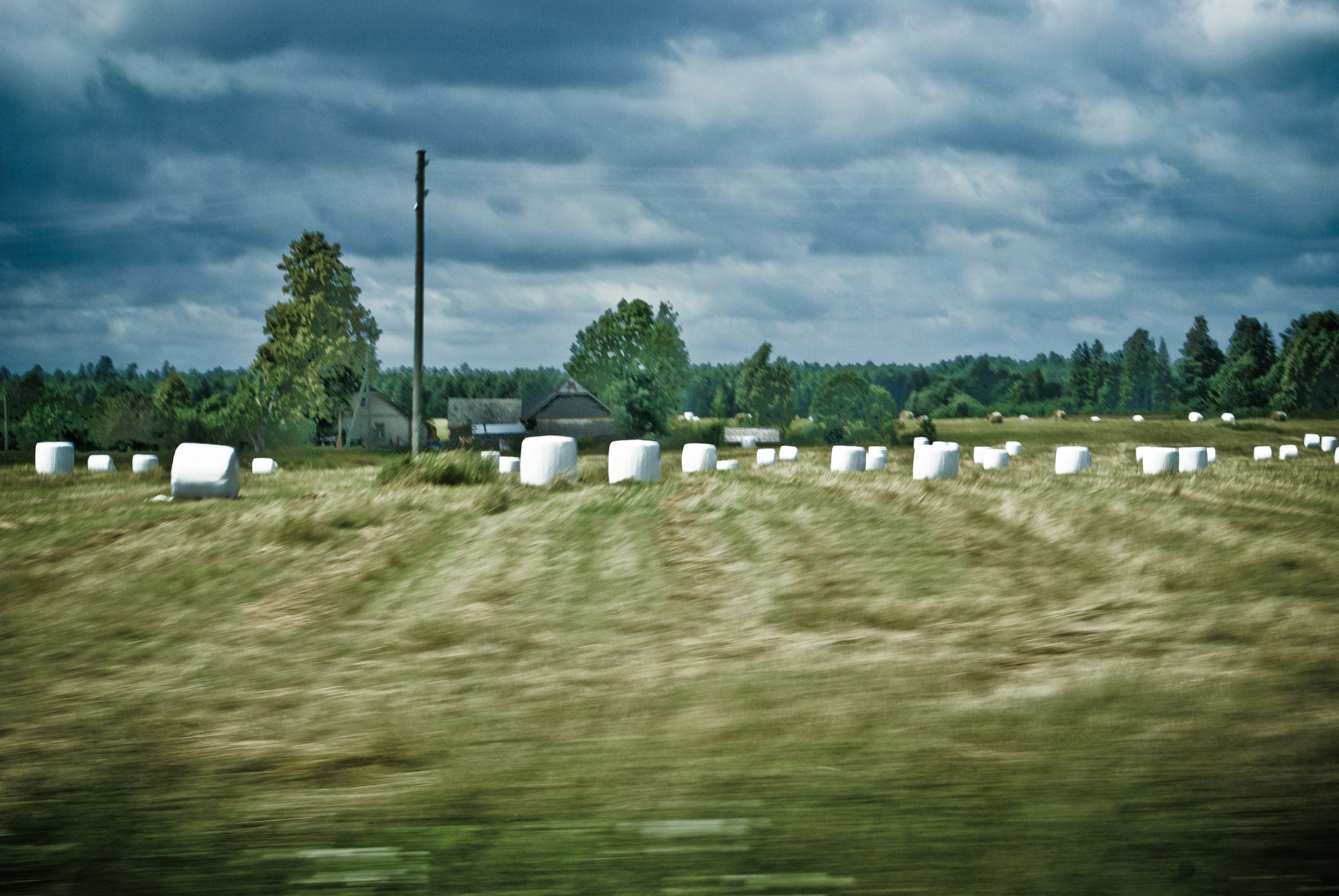 Rolling fields dotted with white hay bales under an overcast sky, capturing the essence of rural life. A lone power pole stands sentinel in the background.