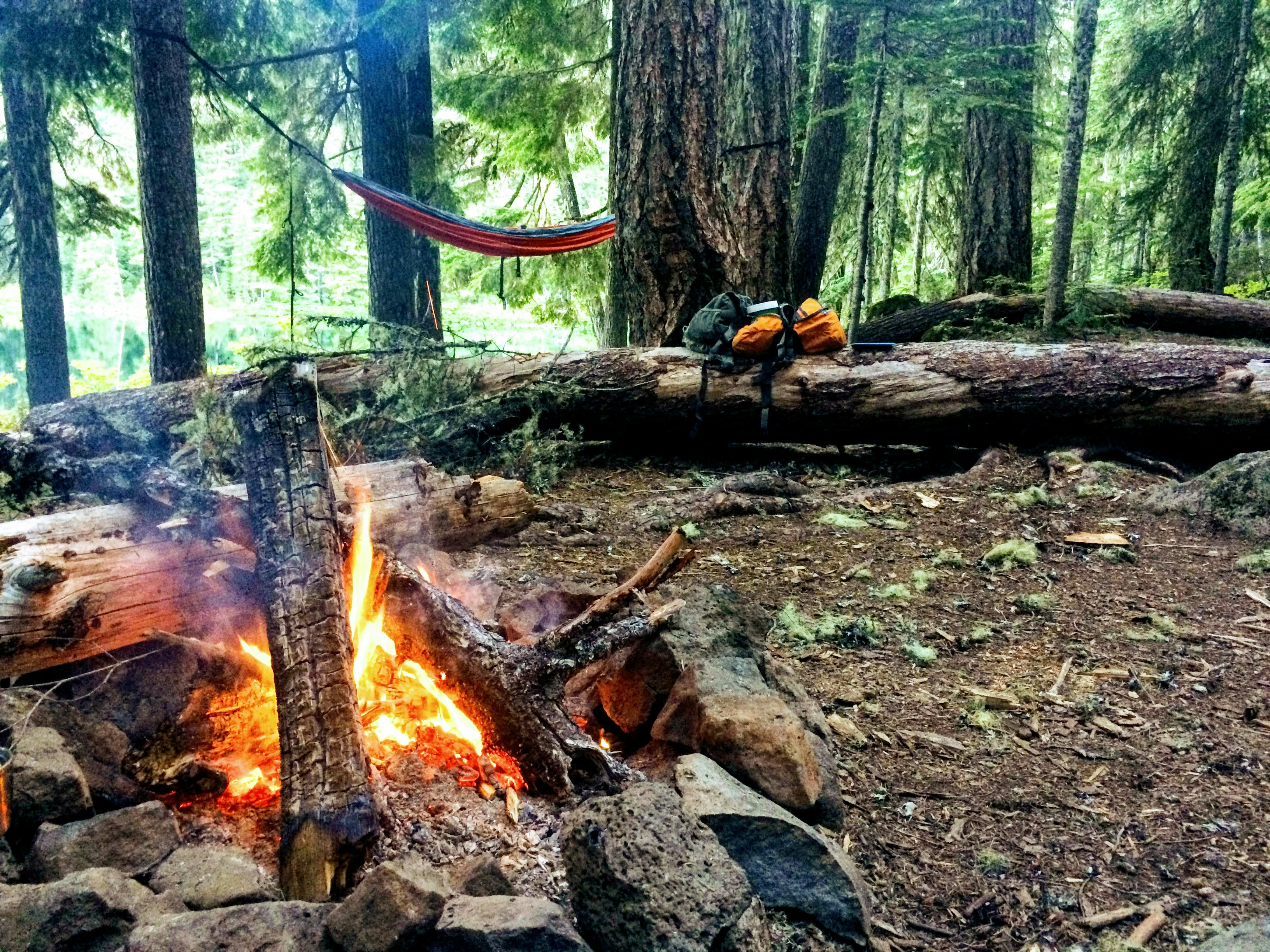 A cozy campfire crackles amid towering trees, with a hammock swaying in the background and gear resting on a log. 