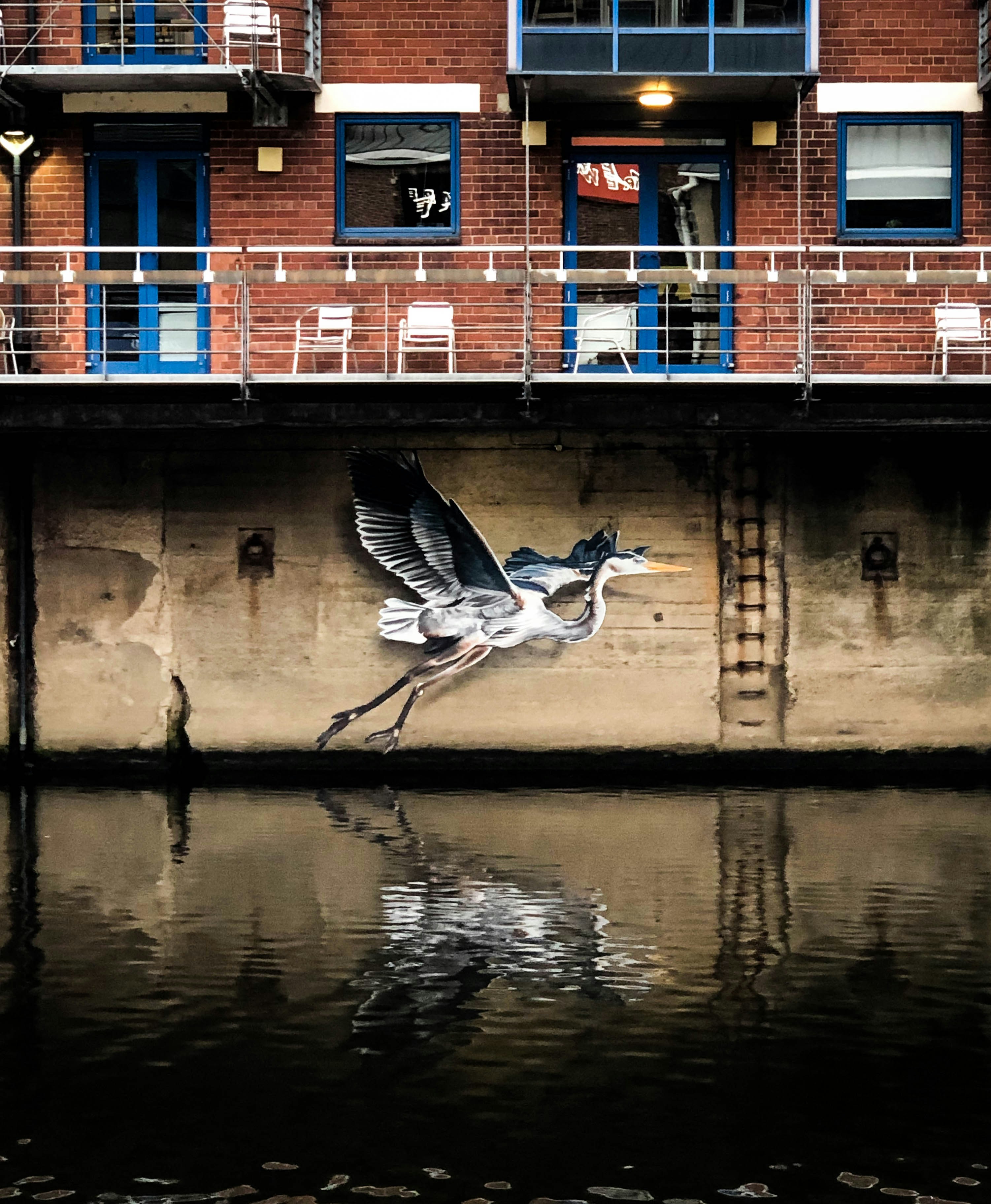 A striking mural of a heron in mid-flight painted on a canal wall, reflecting beautifully in the water below. The scene is framed by modern architecture and a hint of urban life.