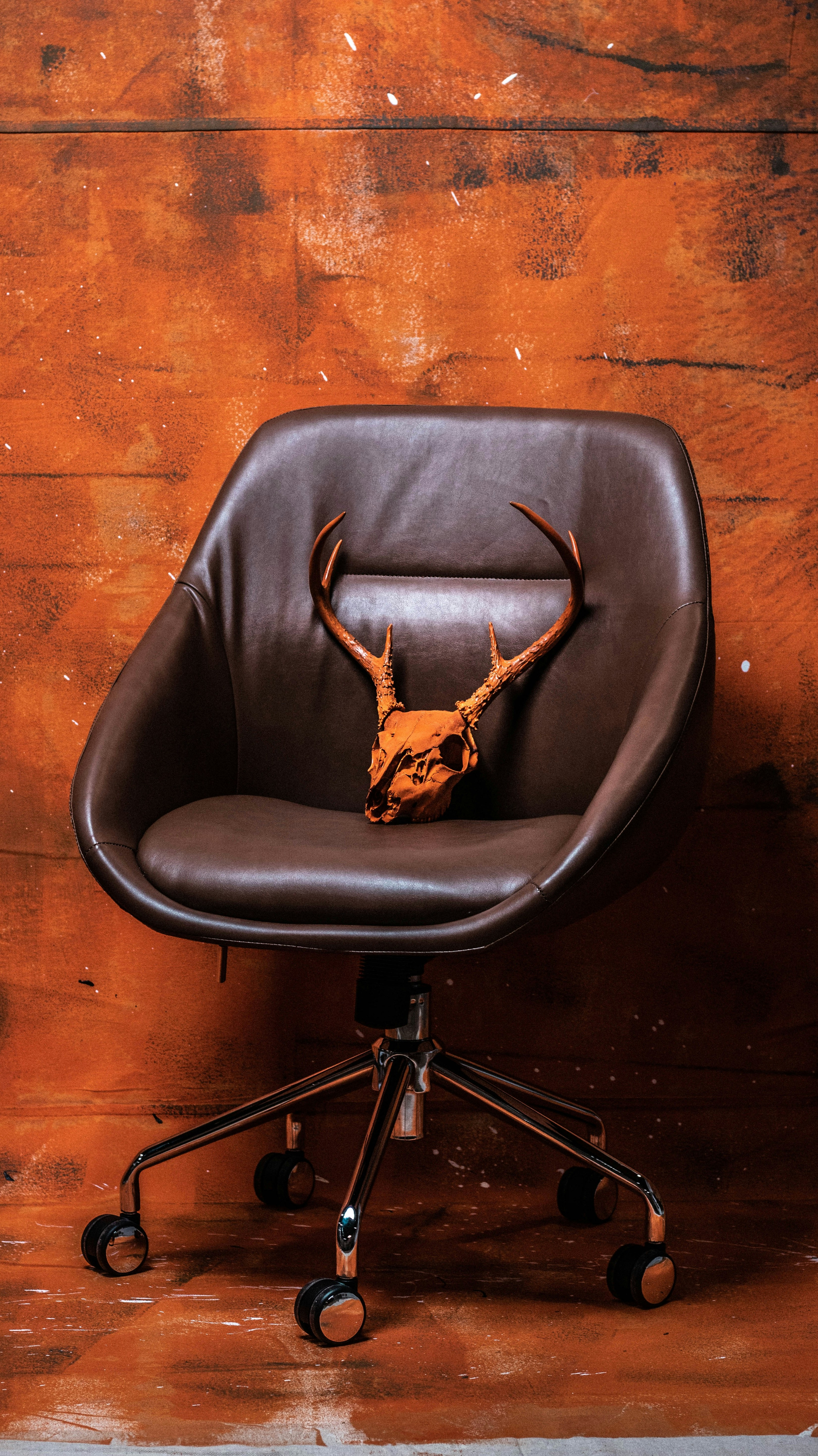 Antlers in the Office: a Studio Chair Still Life