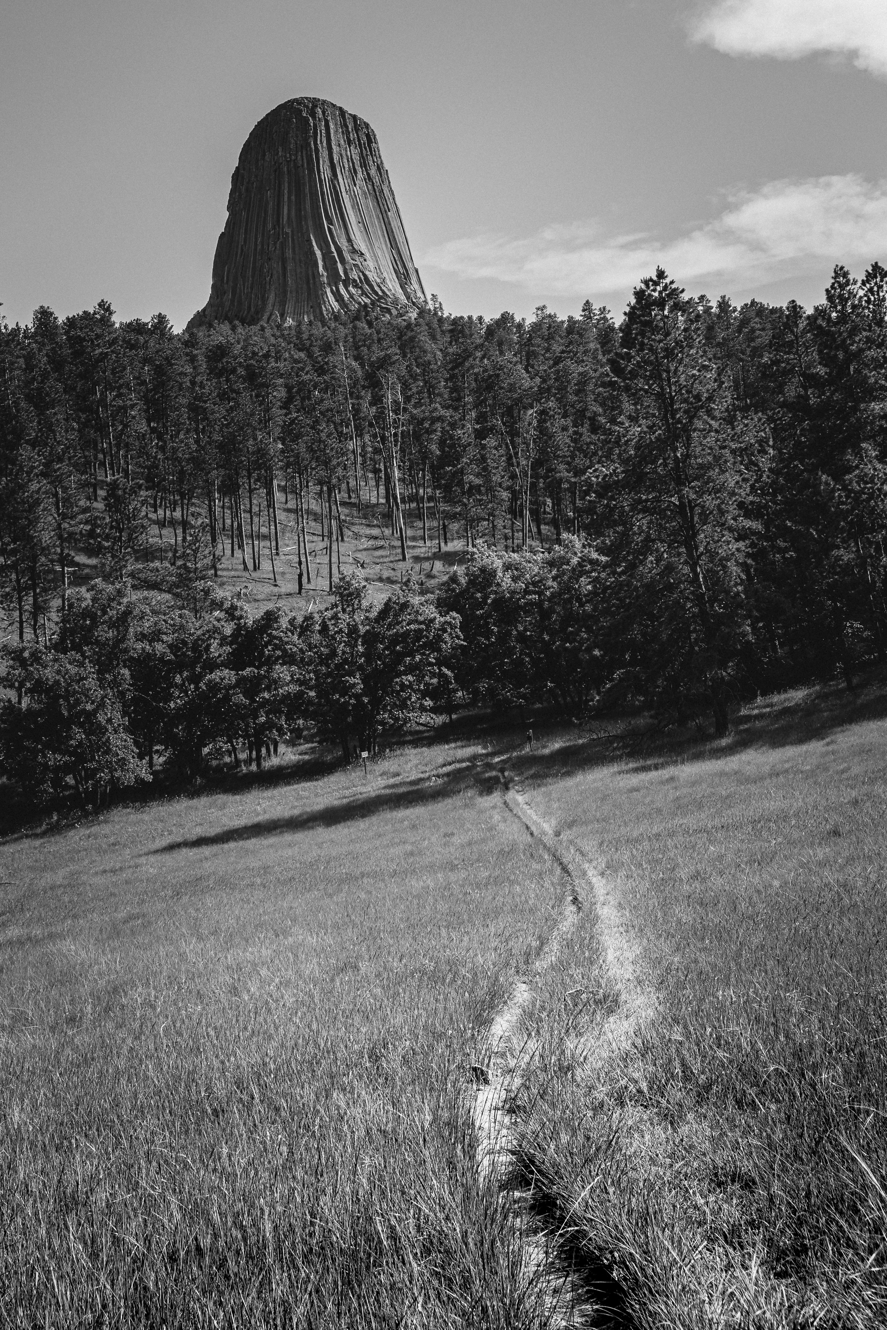 Stone Giant on the Hill: A Lone Monolith Silhouette Over a Pine Forest