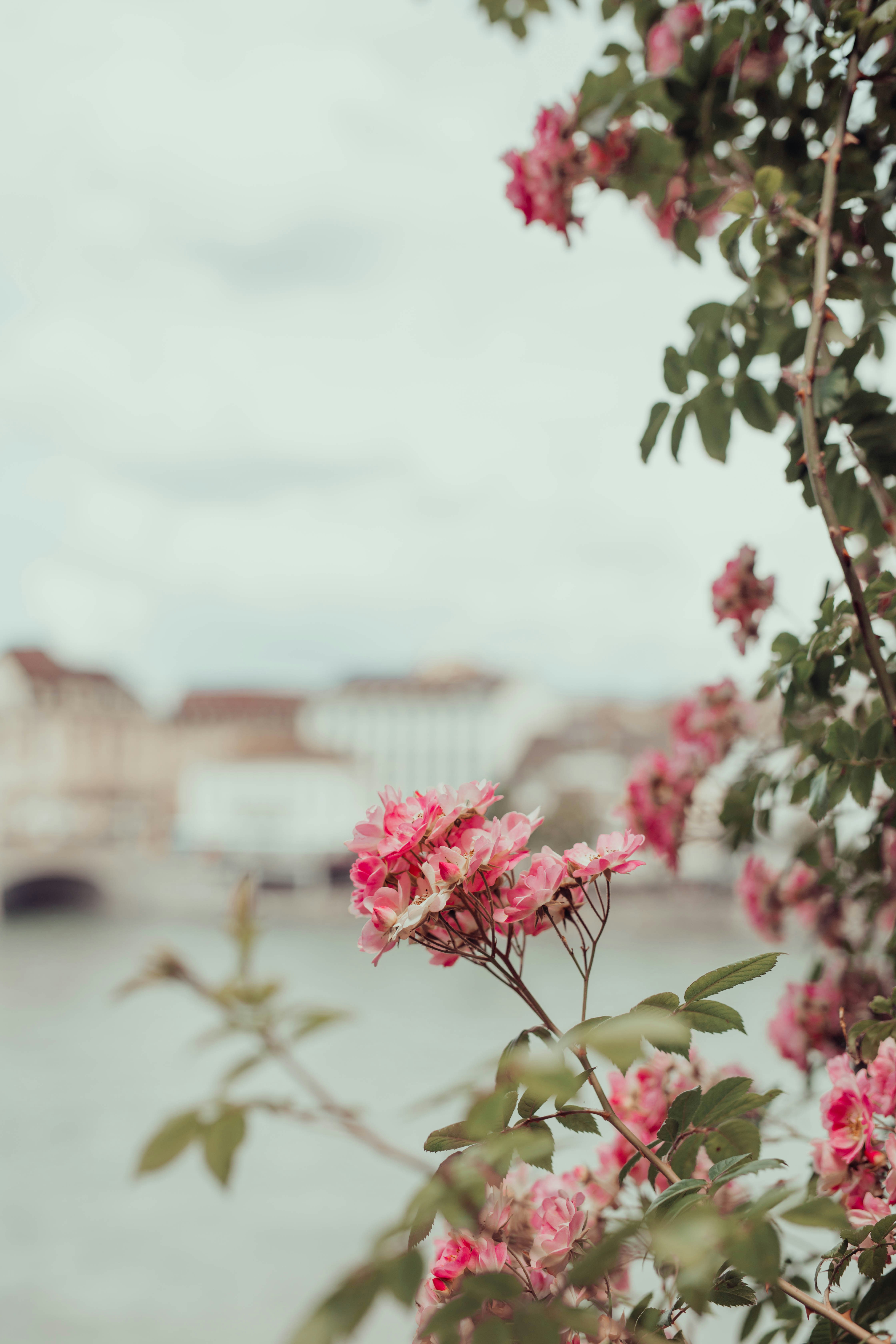 Homey | 51 best free homey, home, interior and indoor photos on Unsplash