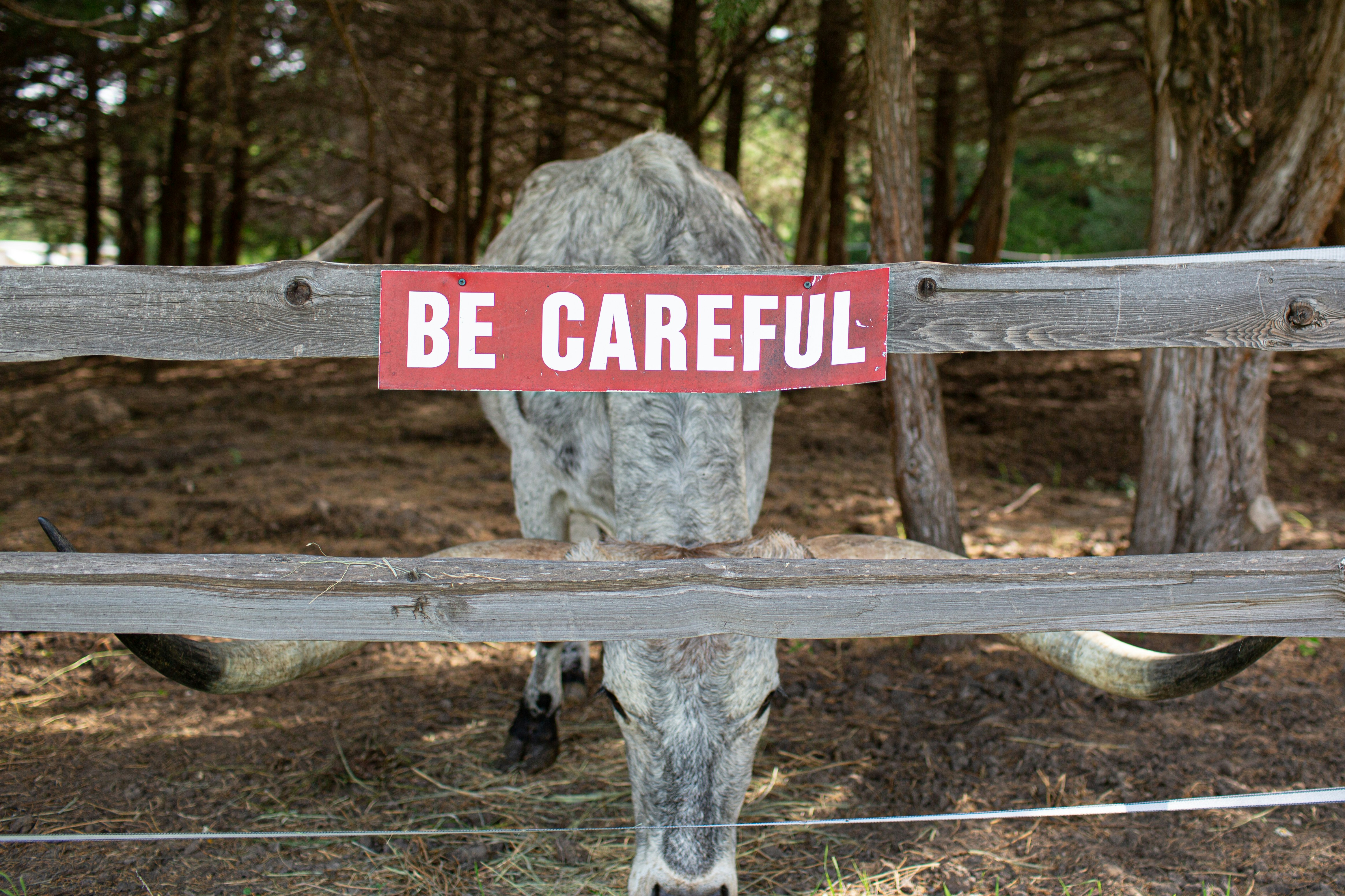 A Gentle Reminder in the Pasture