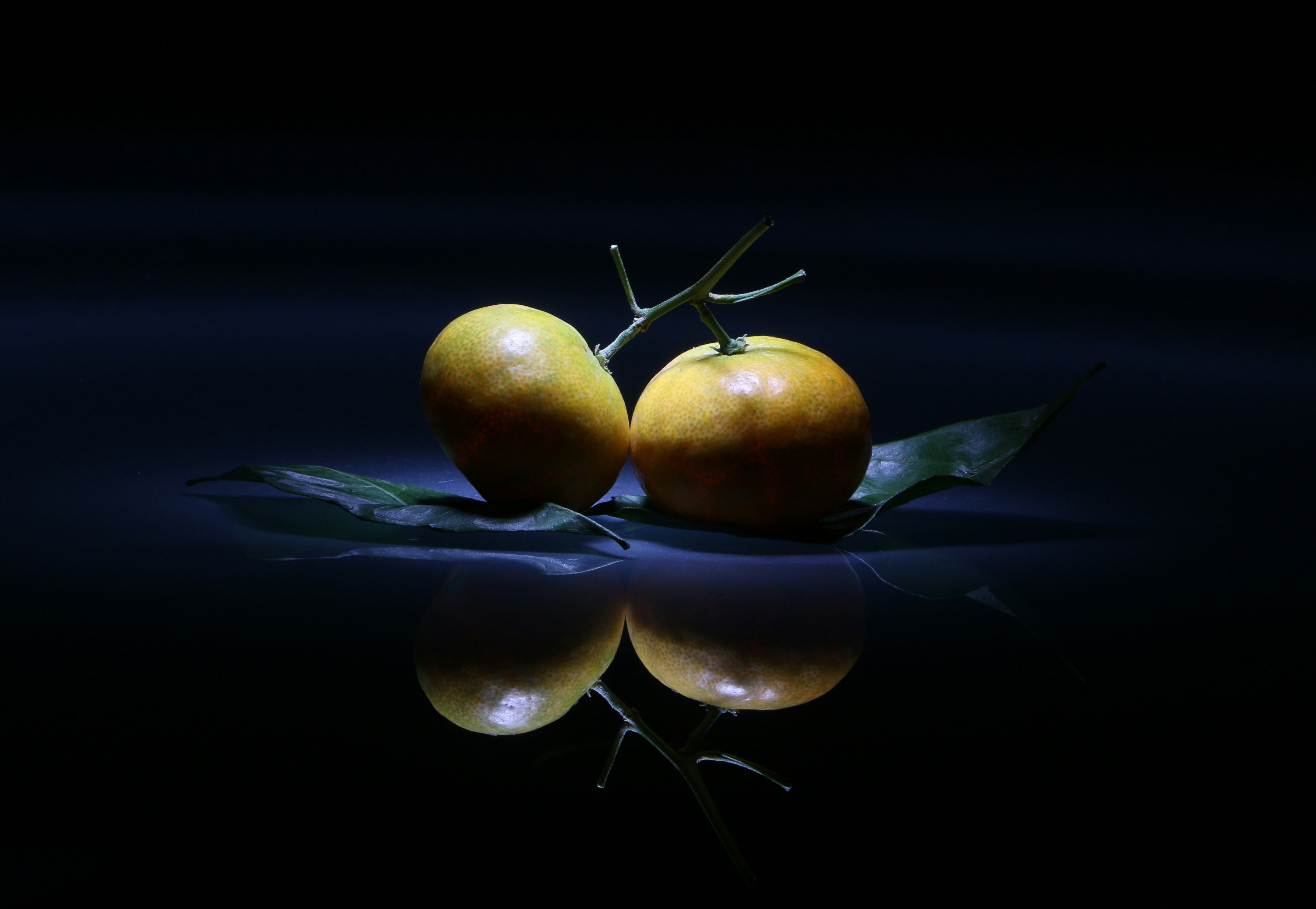 Two Oranges in a Moonlit Still-Life with Mirror Reflections