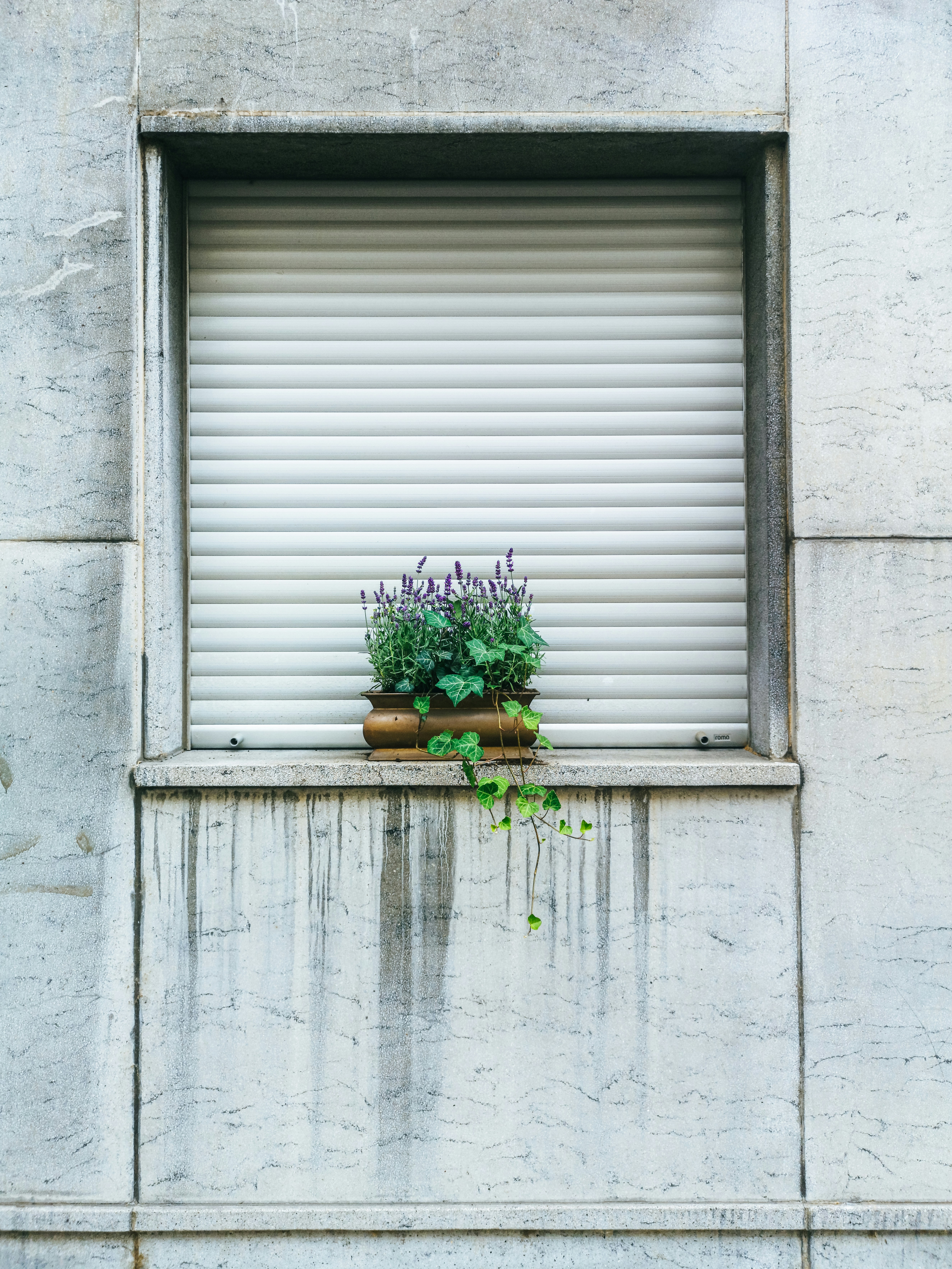 House Windows Pictures | Download Free Images on Unsplash