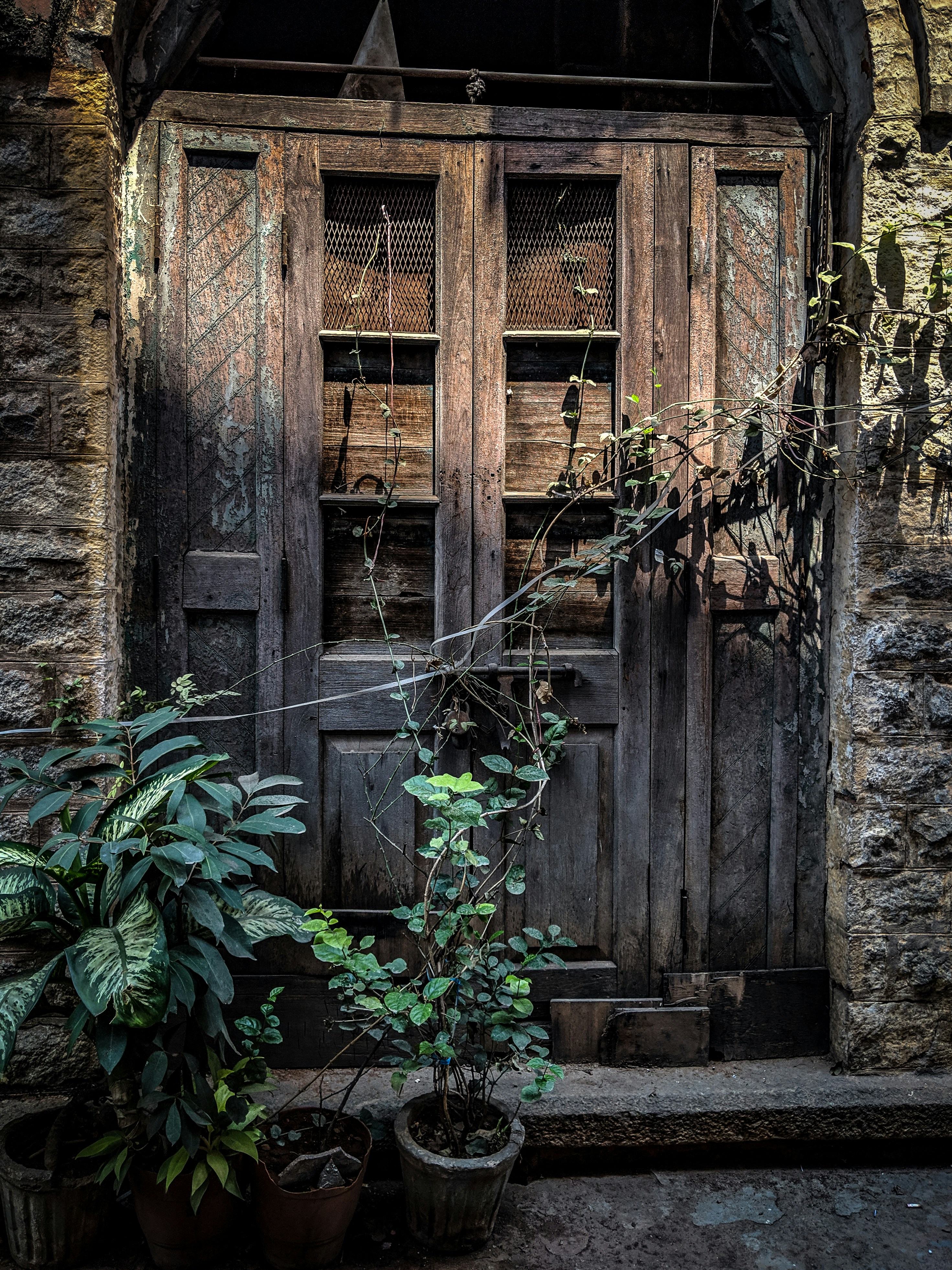 Afternoon light in the alleyway