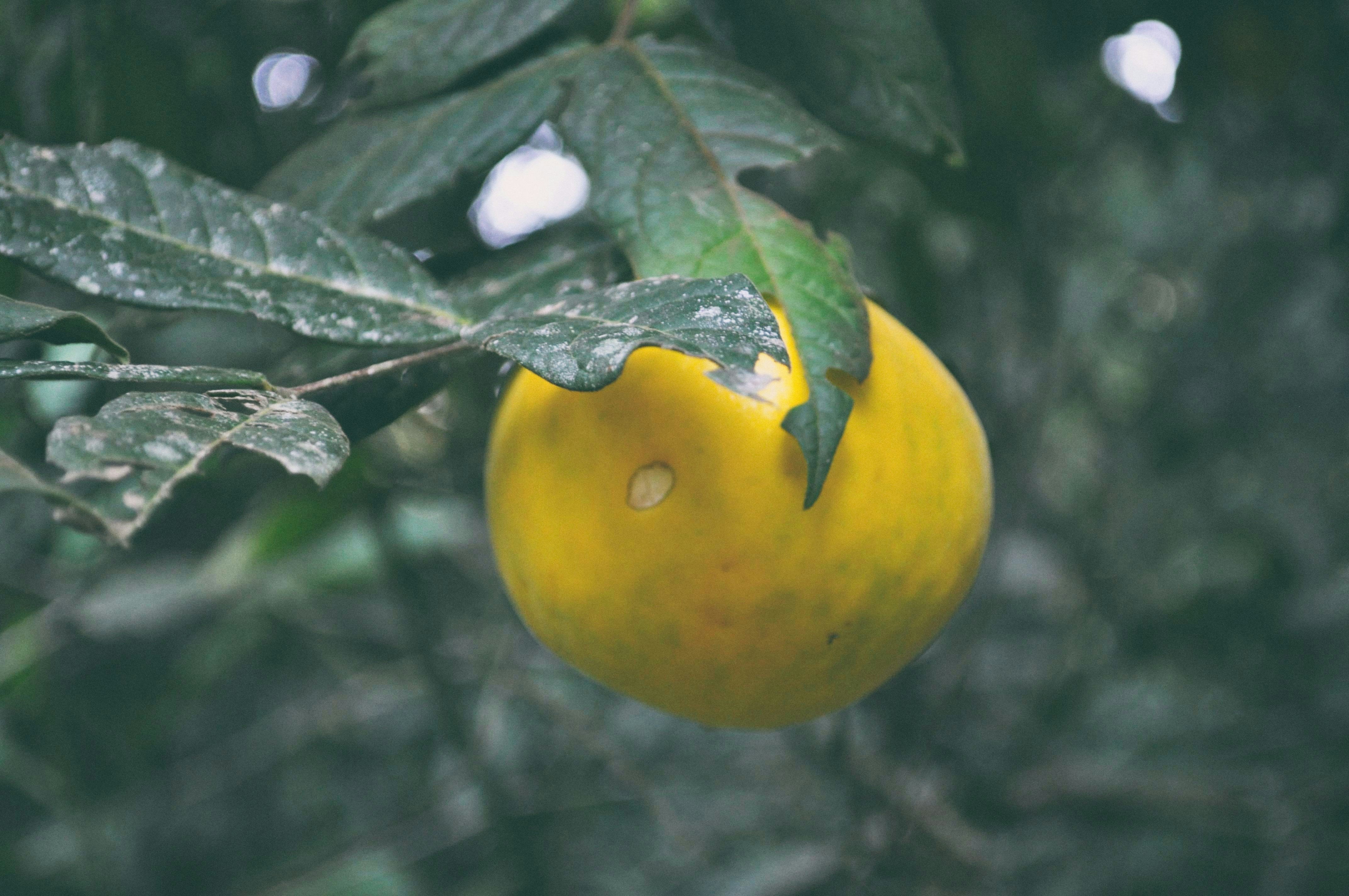 Monika Izdebska (@halobambino) | Communauté photos Unsplash