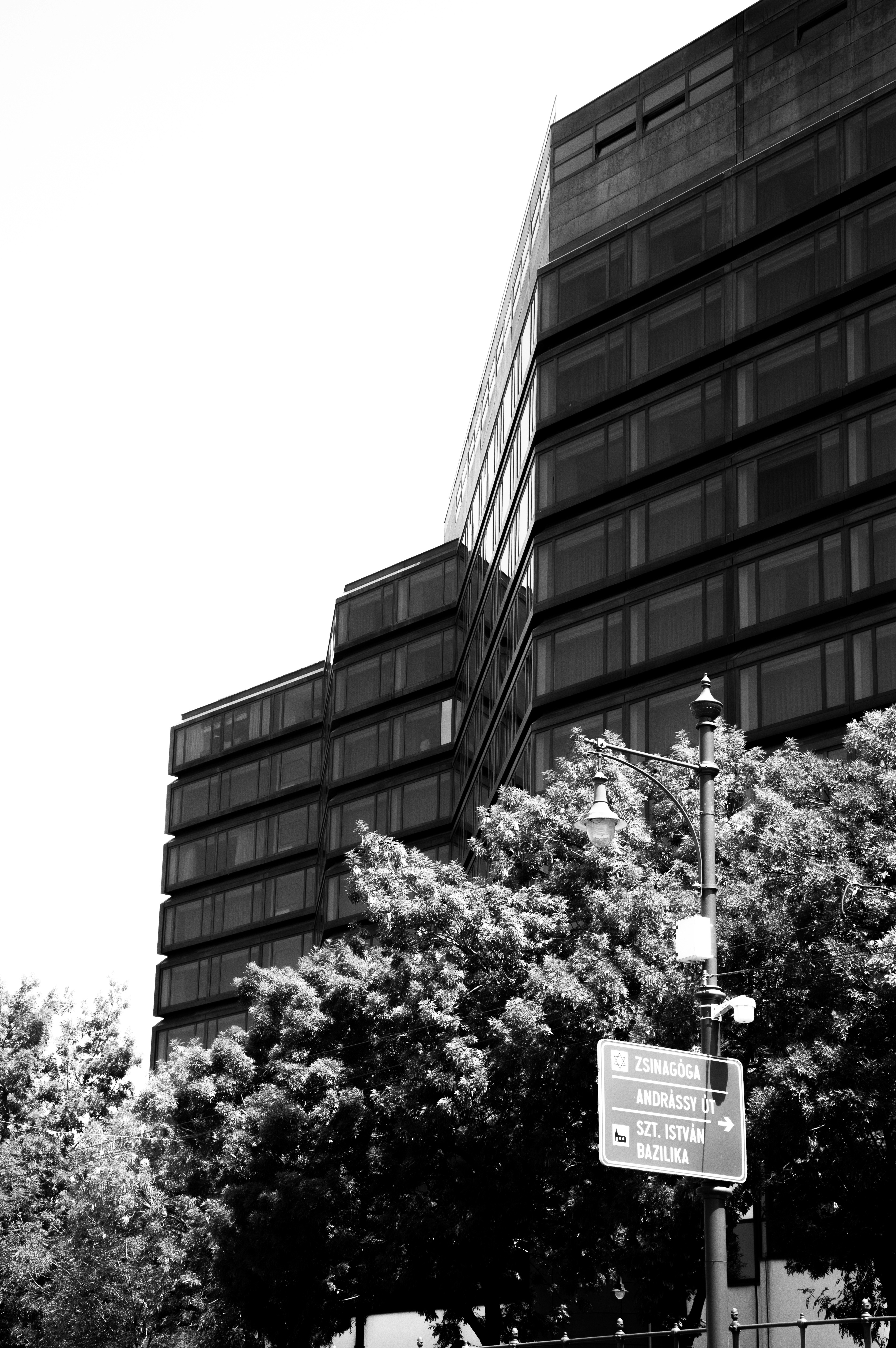 Grayscale photography of building near trees photo – Free Budapest ...