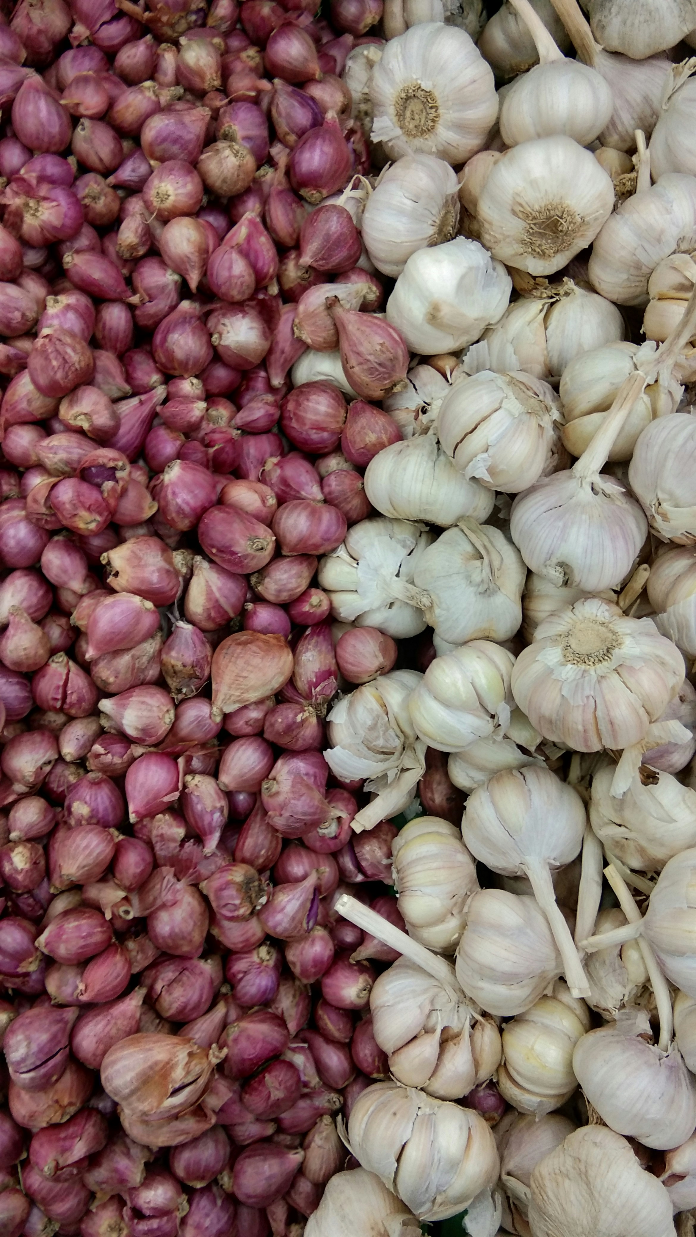A pile of garlic sitting next to each other photo – Free Jl. mawar no ...