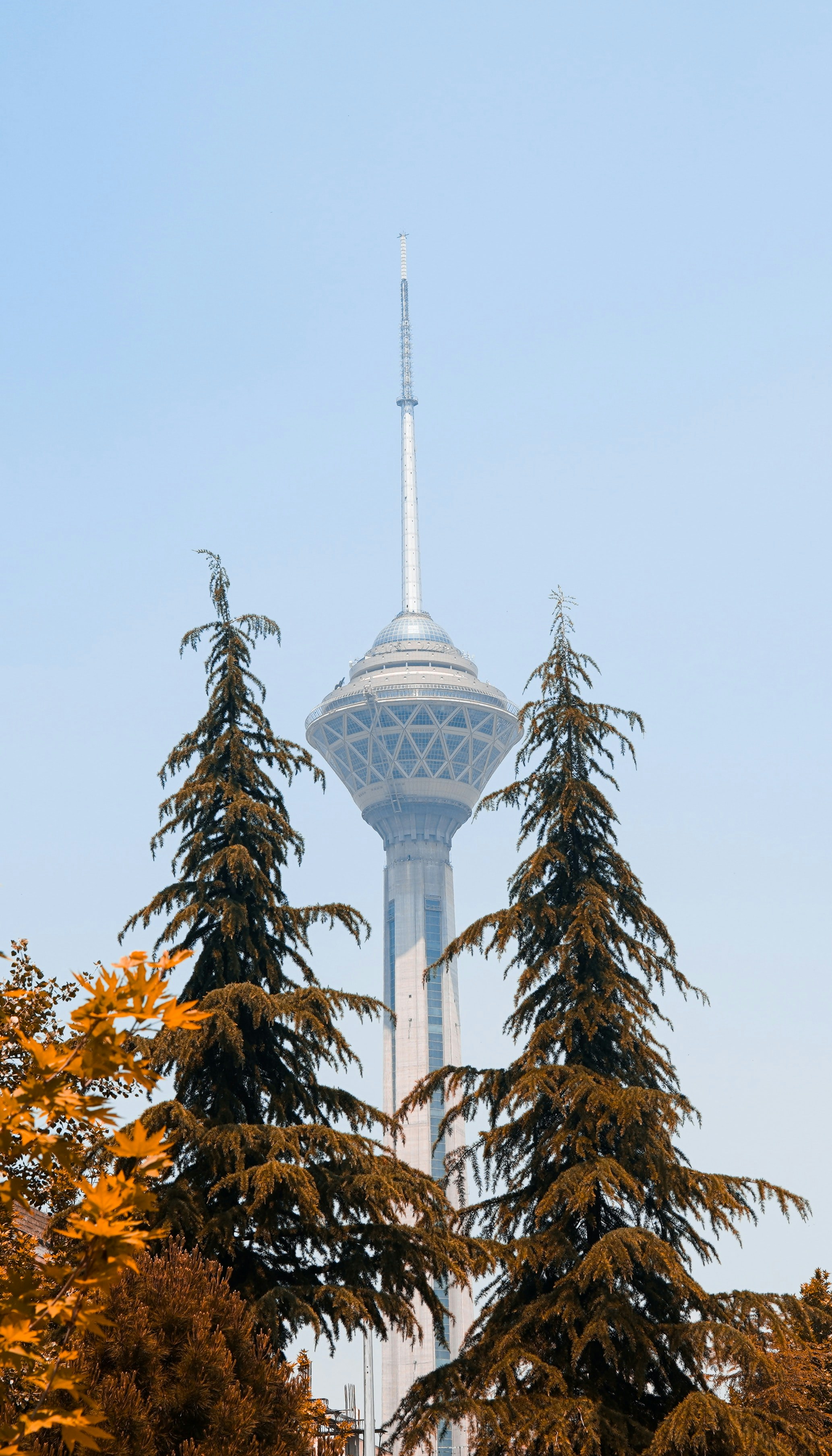 White pointed tower view from two green pine trees photo – Free ...