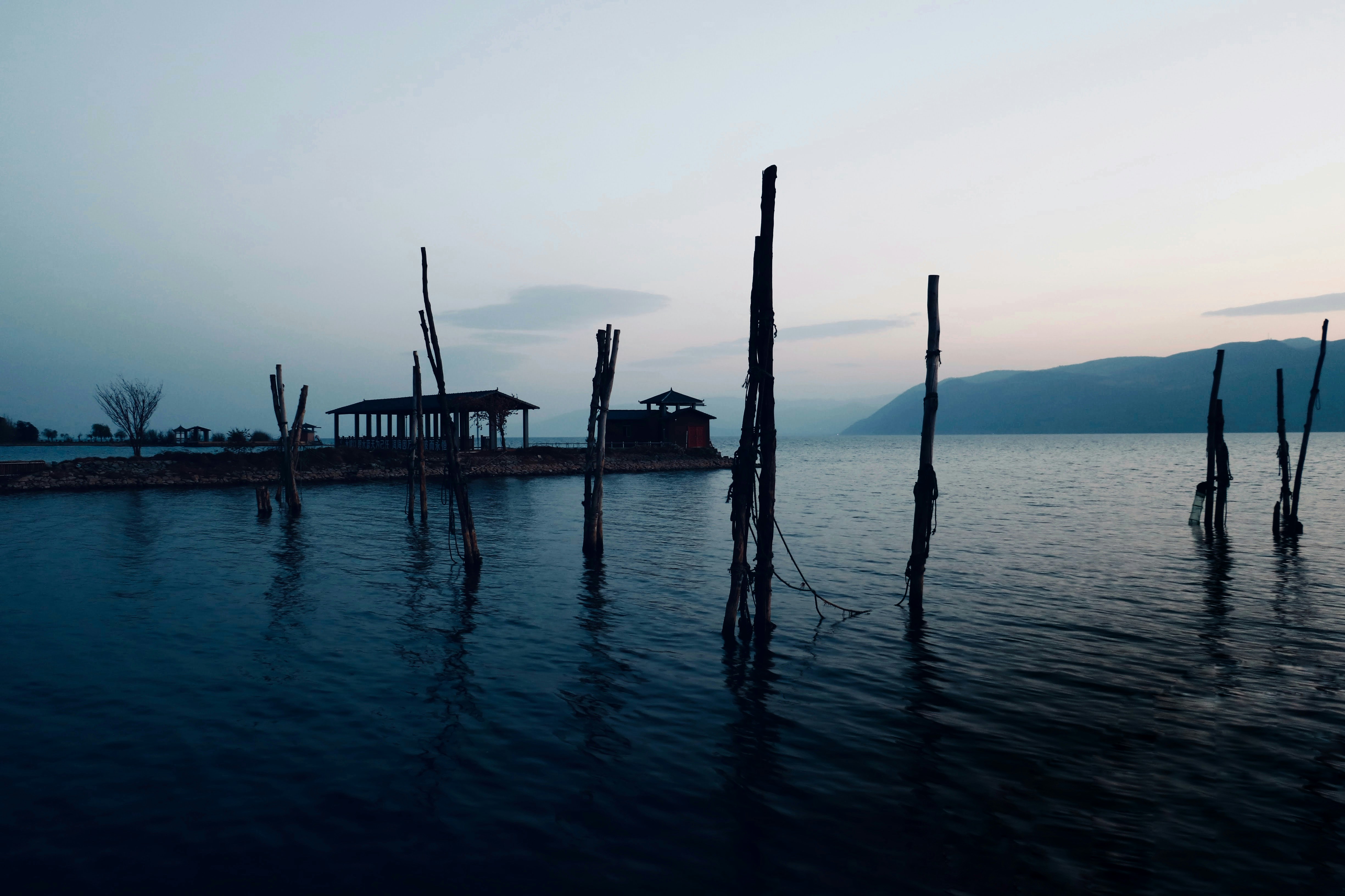 Serene Evening at the Lake's Edge