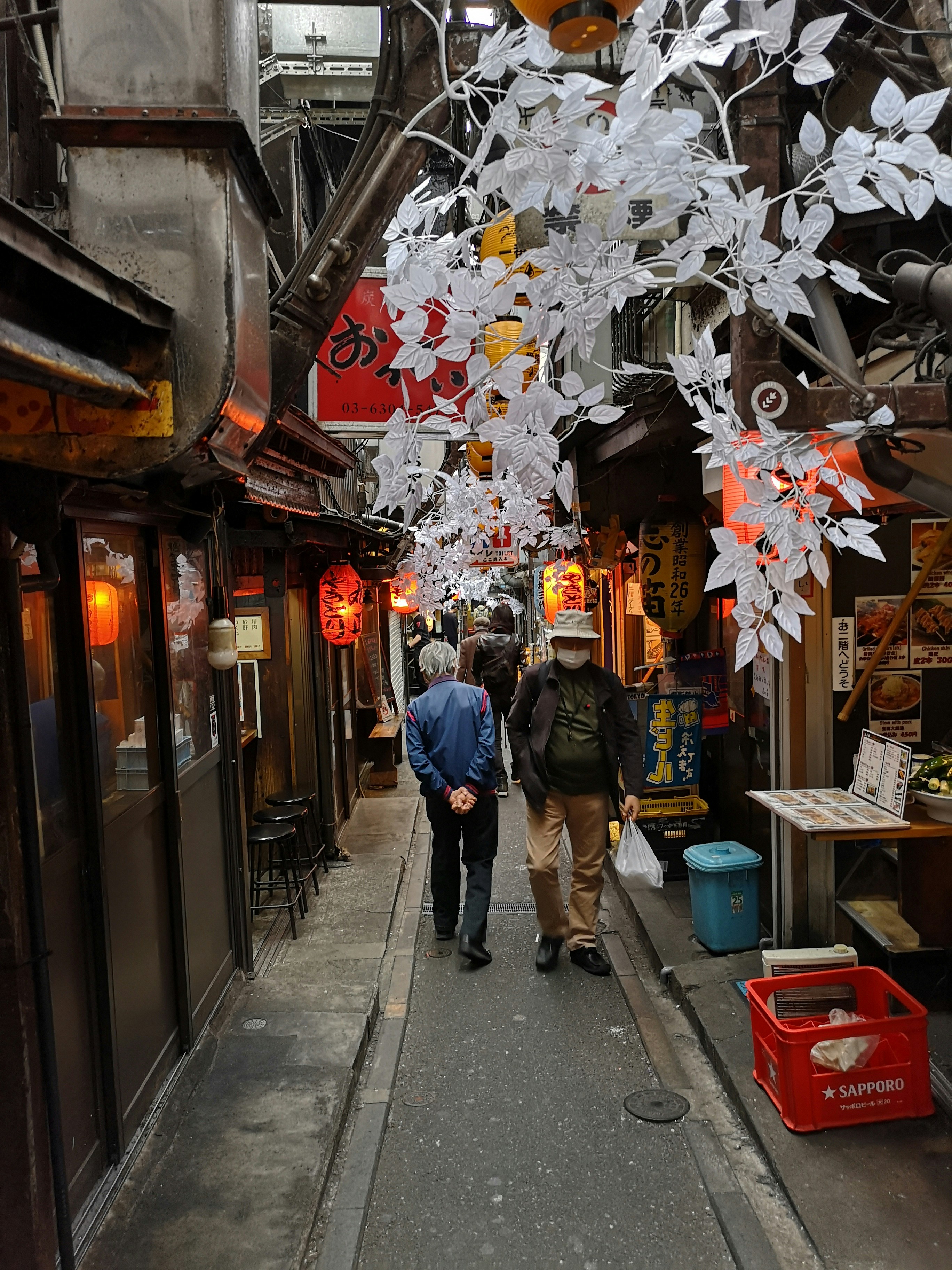 Lantern-lit Alleyway Framed by White Leaf Garlands