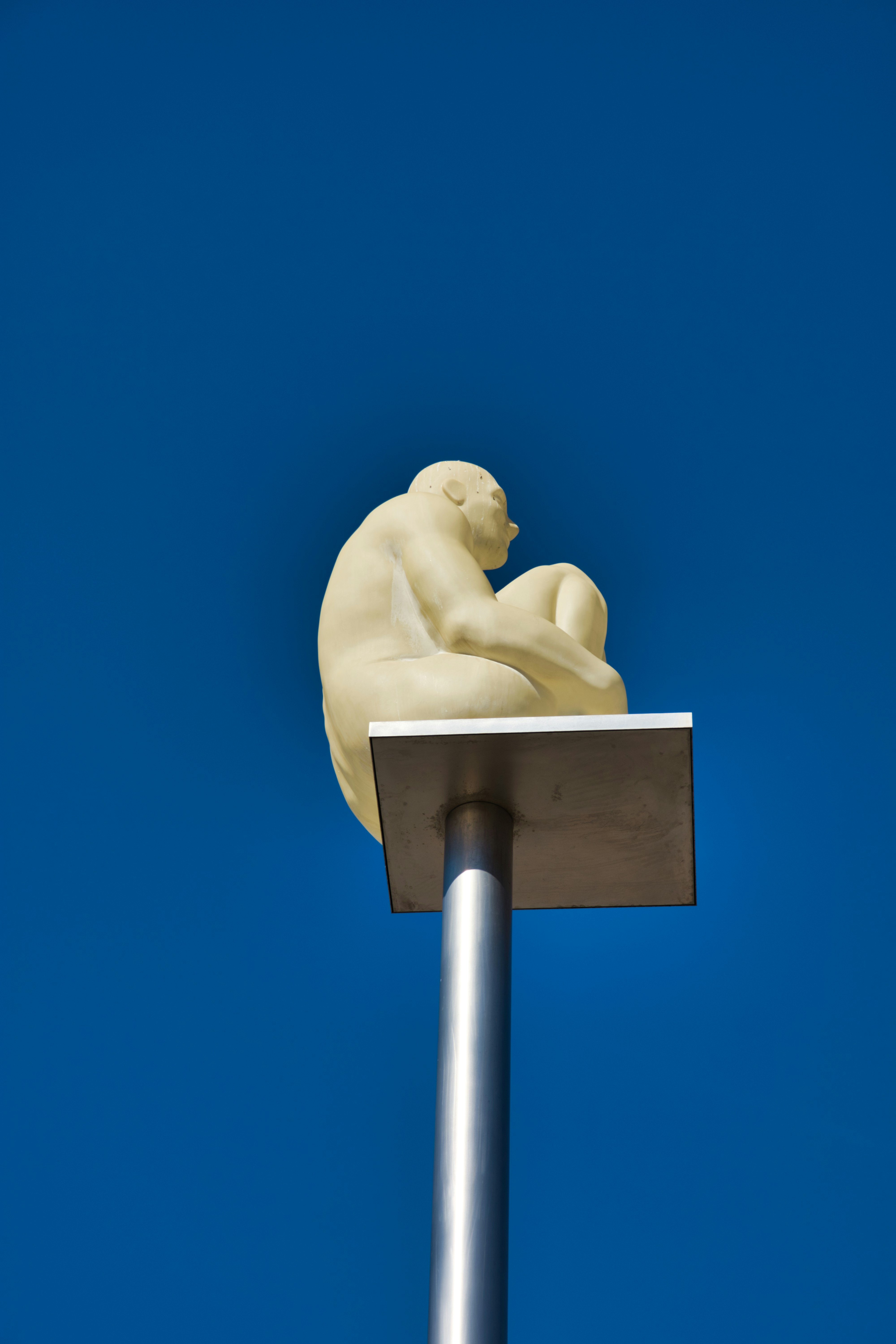 Blue Abyss, Yellow Quiet: A Sculpted Recline Above the Pole
