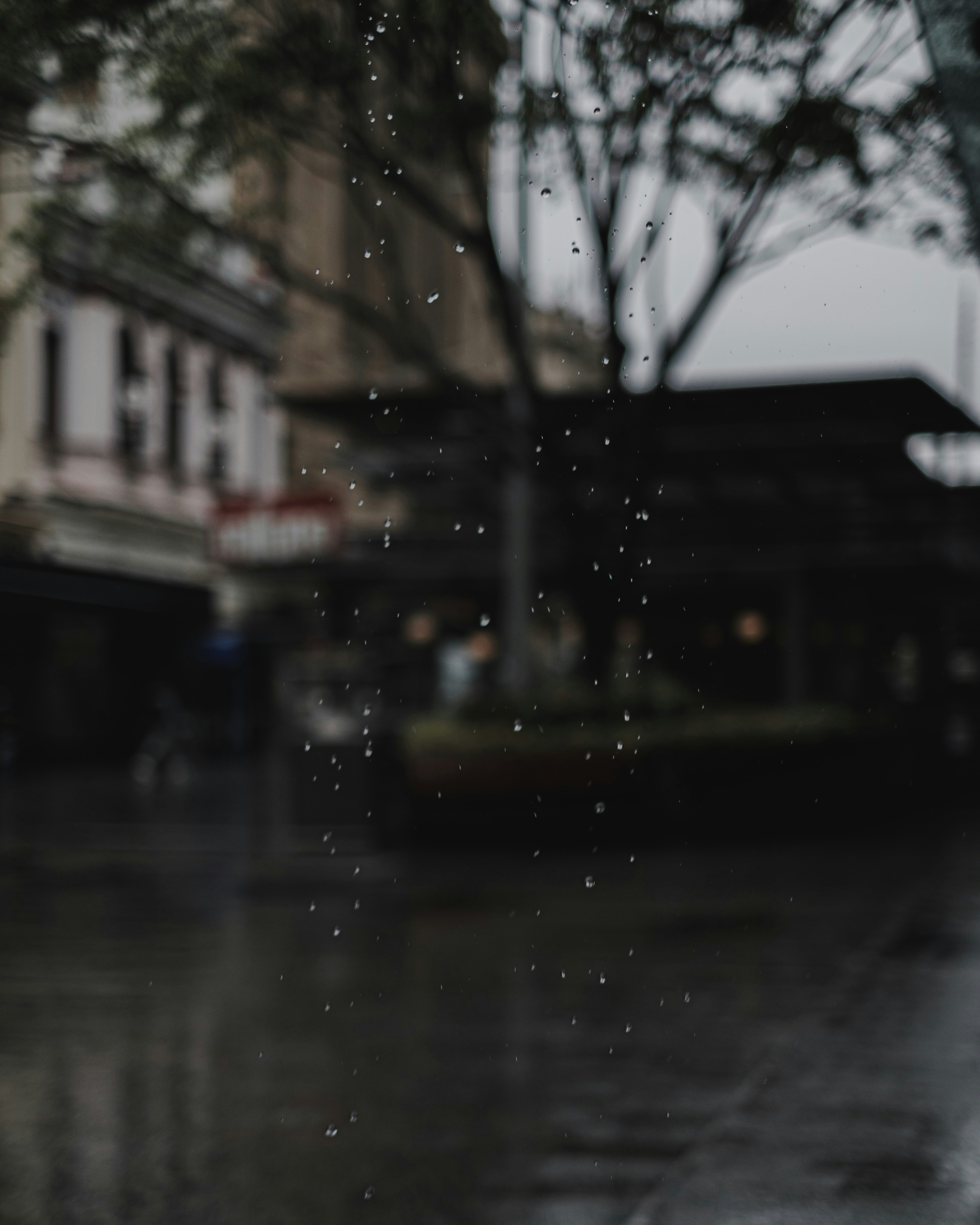 wet road seen through glass window