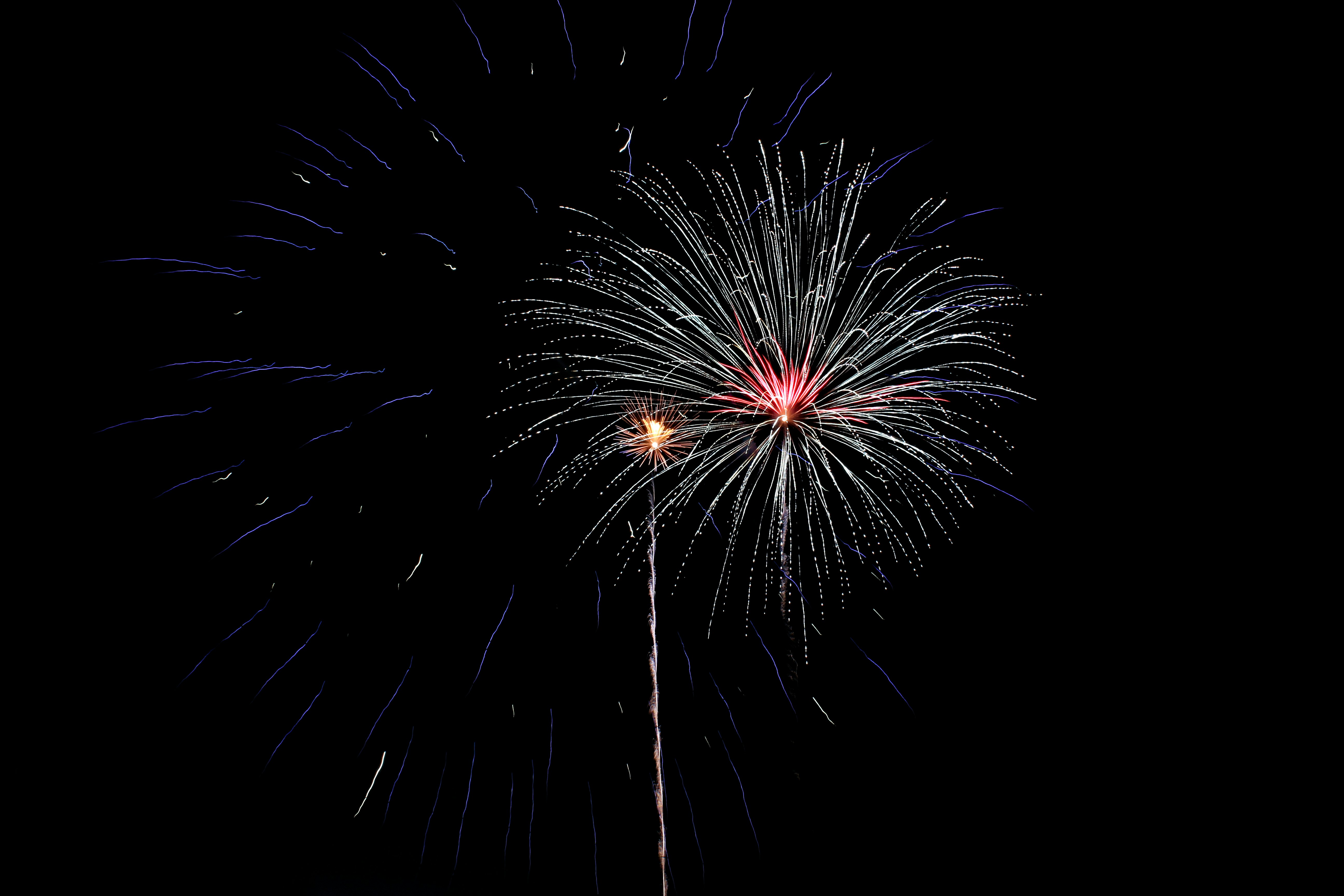 Fireworks display at night sky photo – Free Fireworks Image on Unsplash