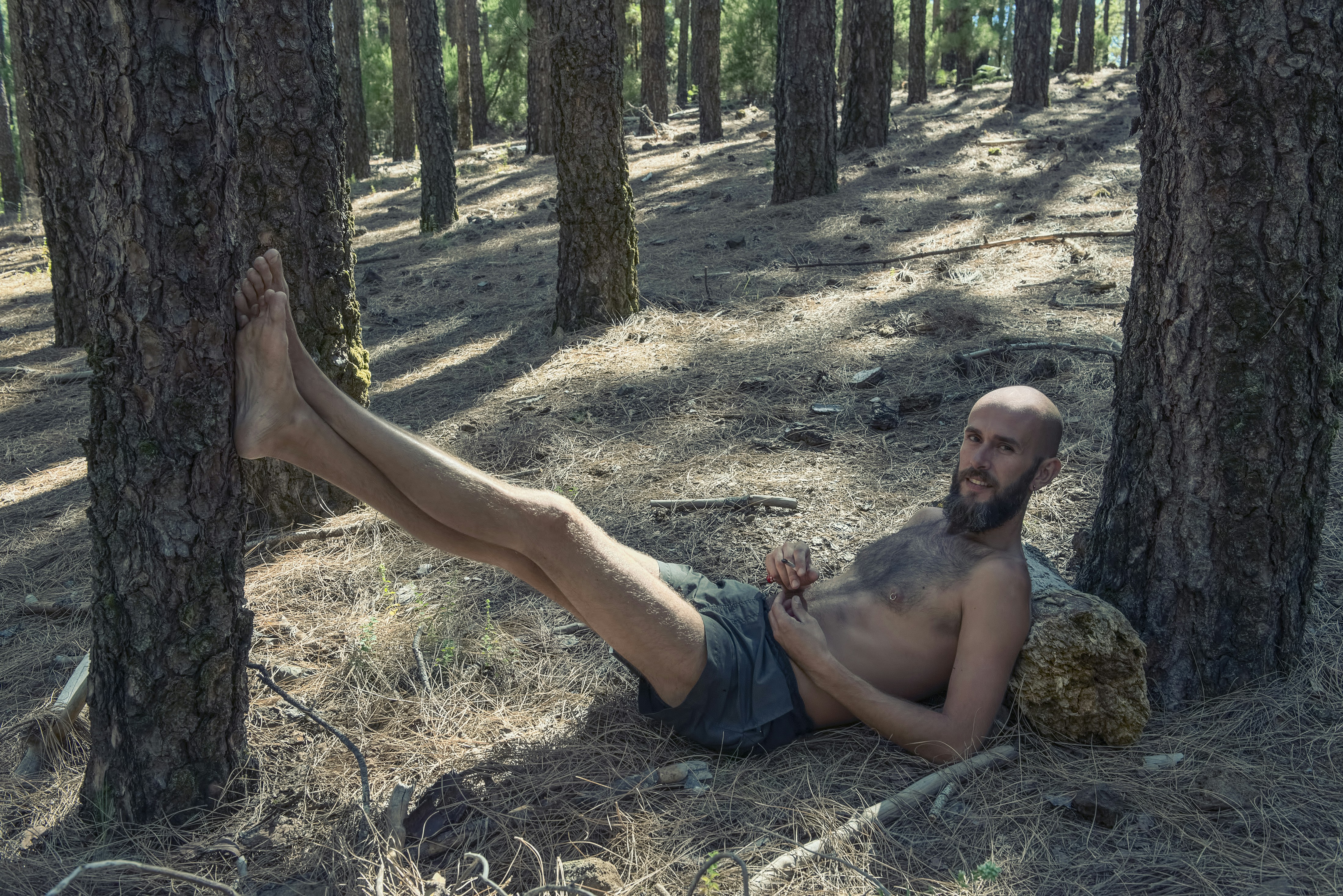 man lying on green grass resting feet on tree