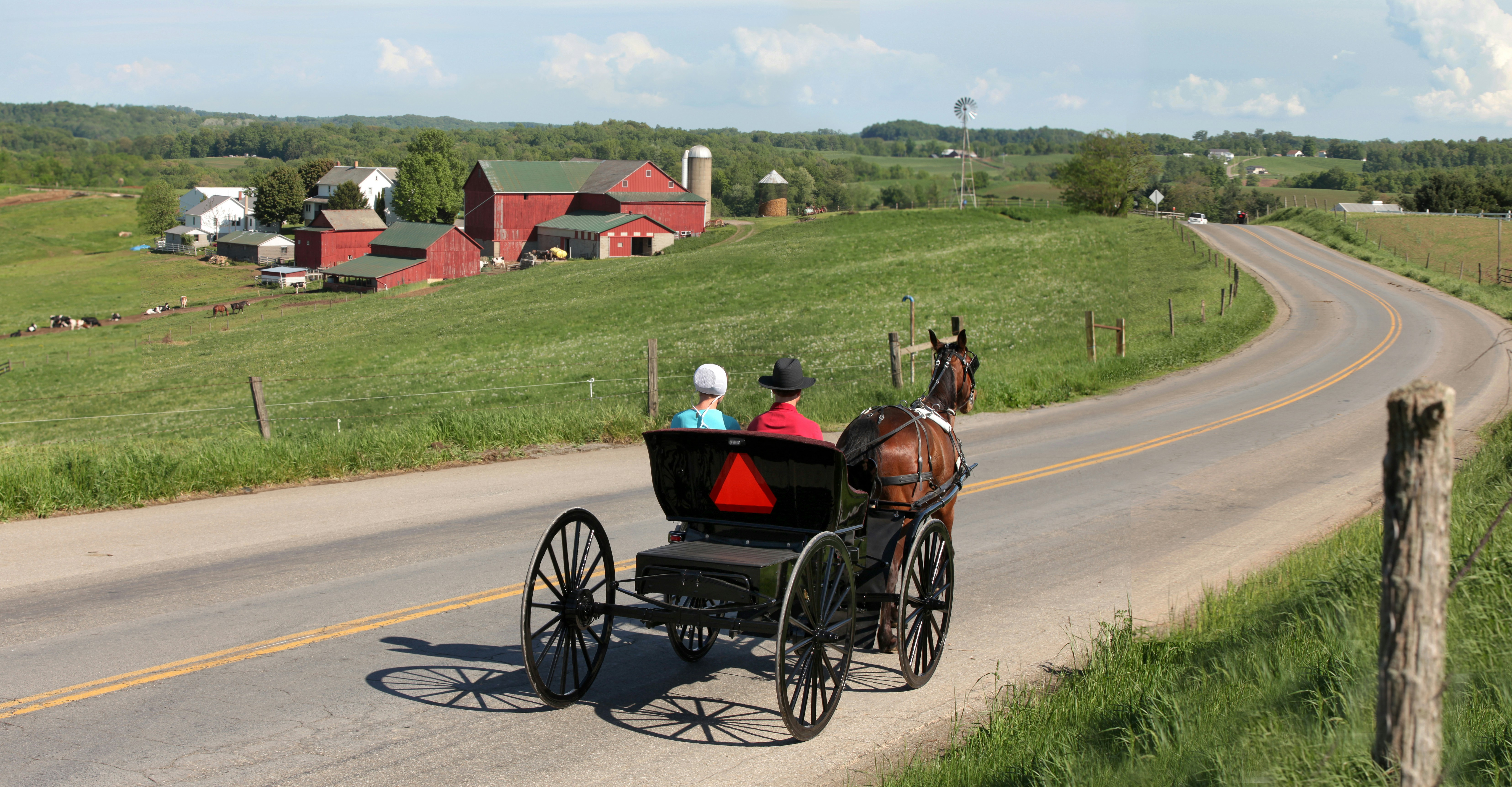 Person riding carriage during daytime photo – Free Person Image on Unsplash