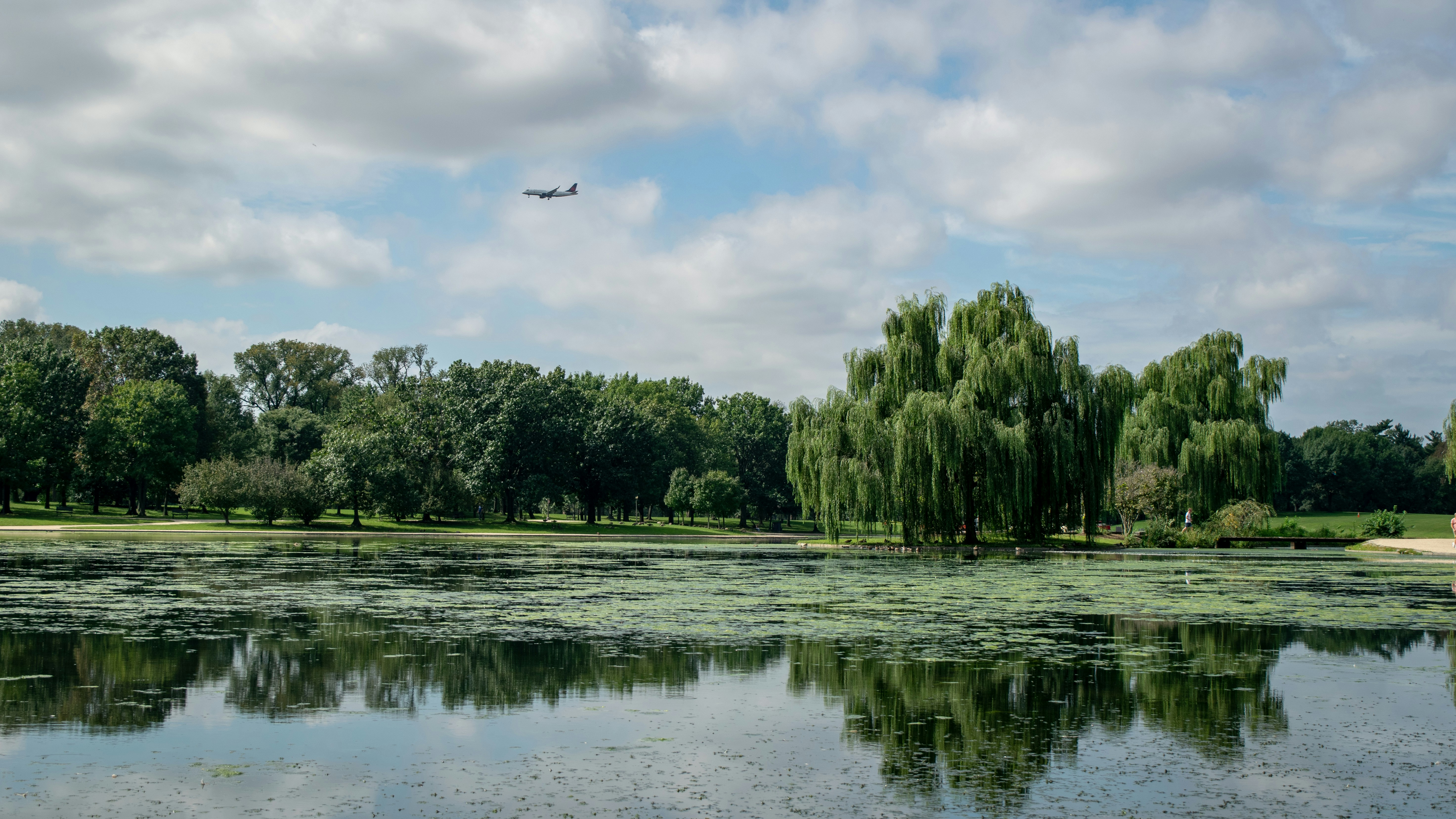 A tranquil park scene featuring lush trees reflected in a serene pond, with an airplane soaring overhead.