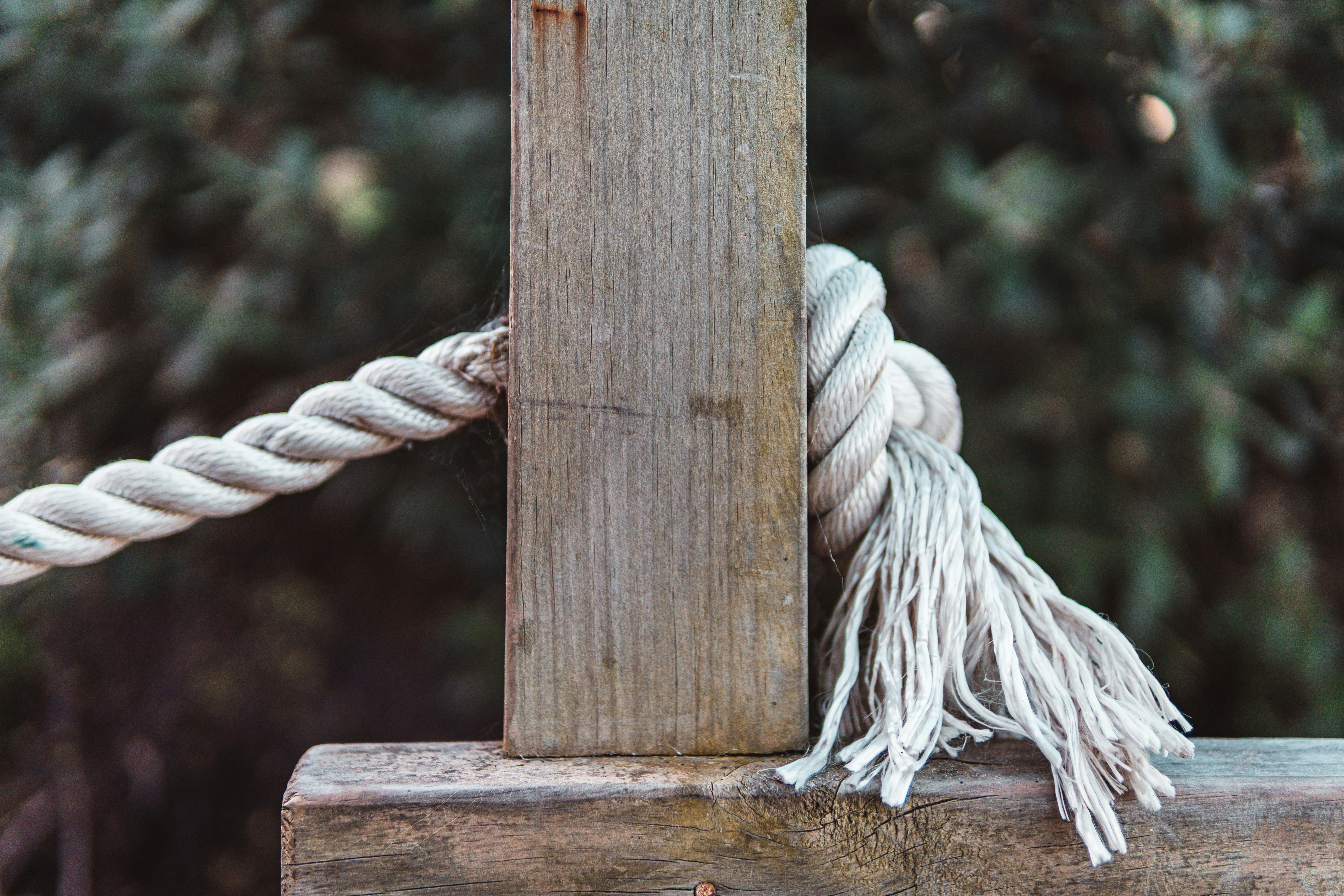 Close-up of a thick rope knotted around a weathered wooden post against a blurred forest background.