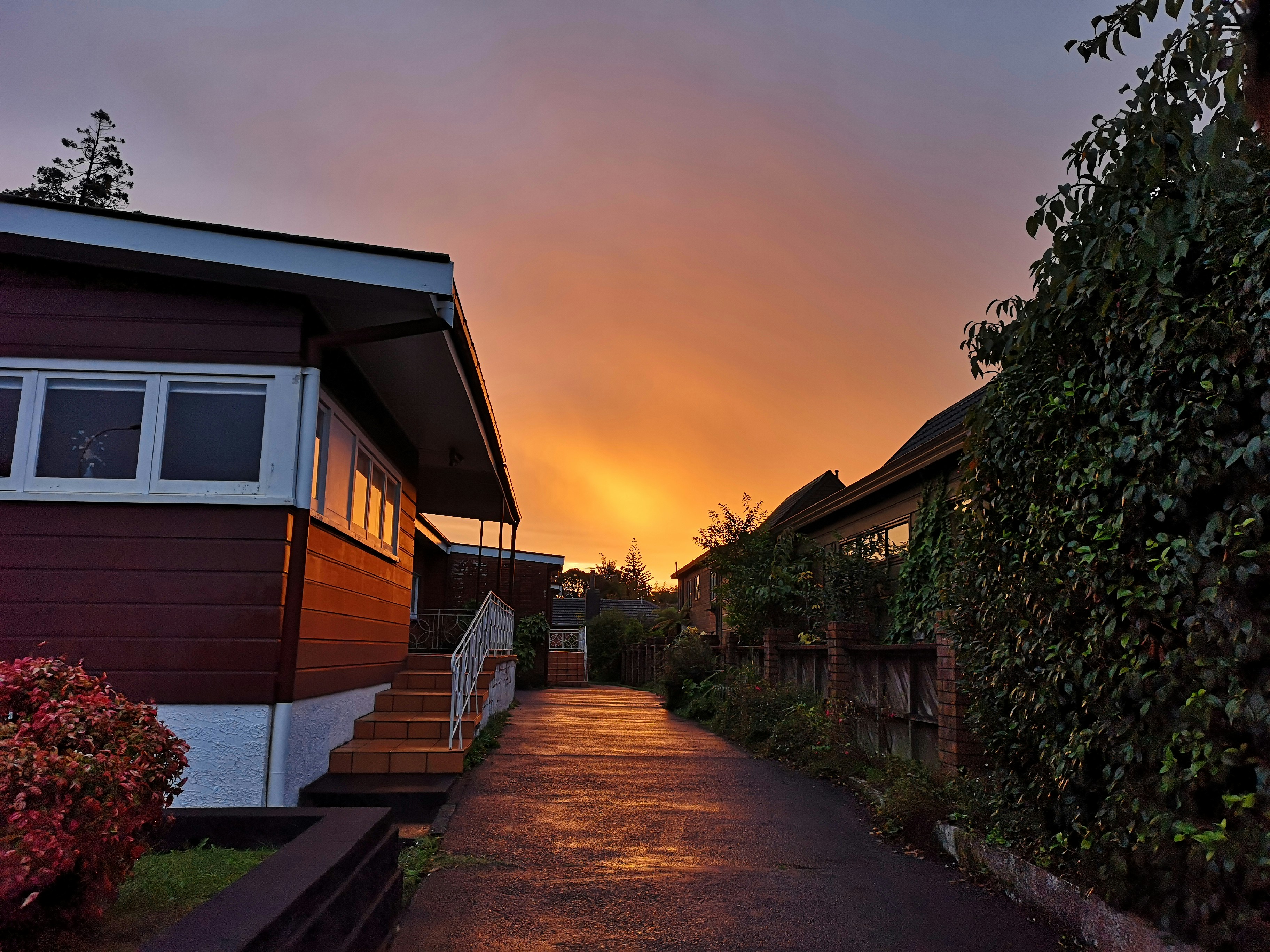 Sunset House Pictures | Download Free Images on Unsplash