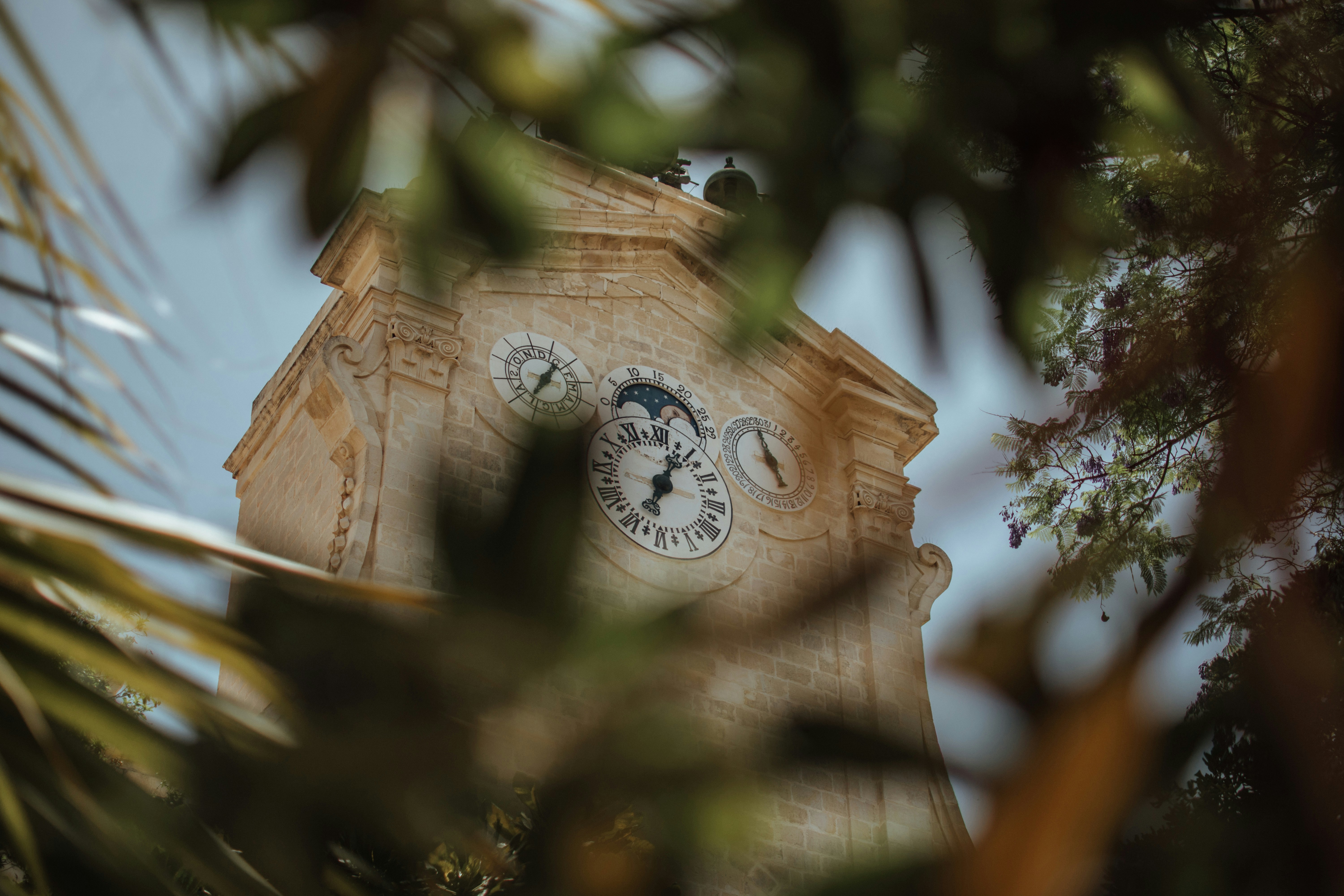 Veiled Time: A Clock Tower Peering Through Fronds