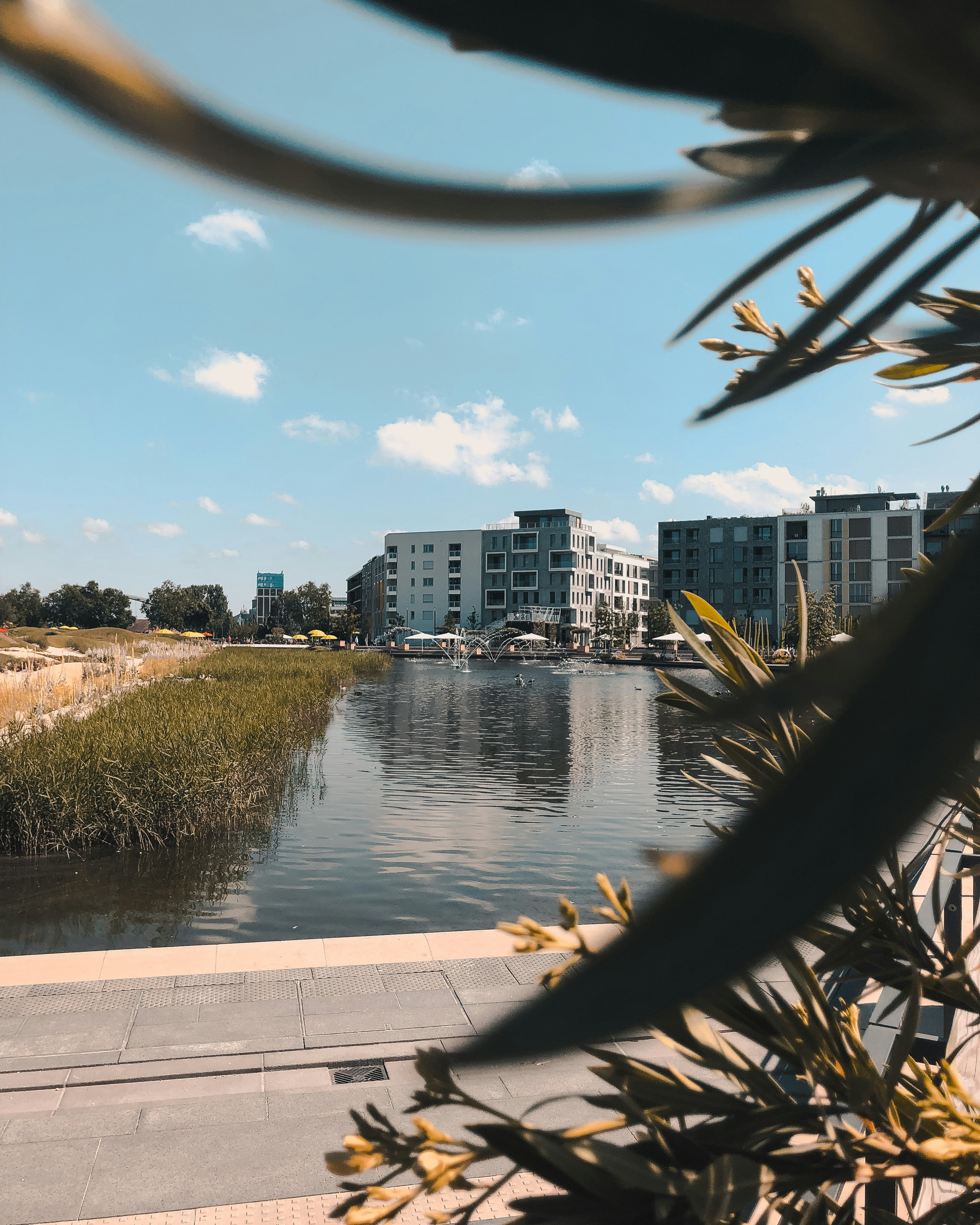 Lush greenery frames a tranquil waterside scene featuring modern buildings and boats. The clear sky enhances the peaceful atmosphere.