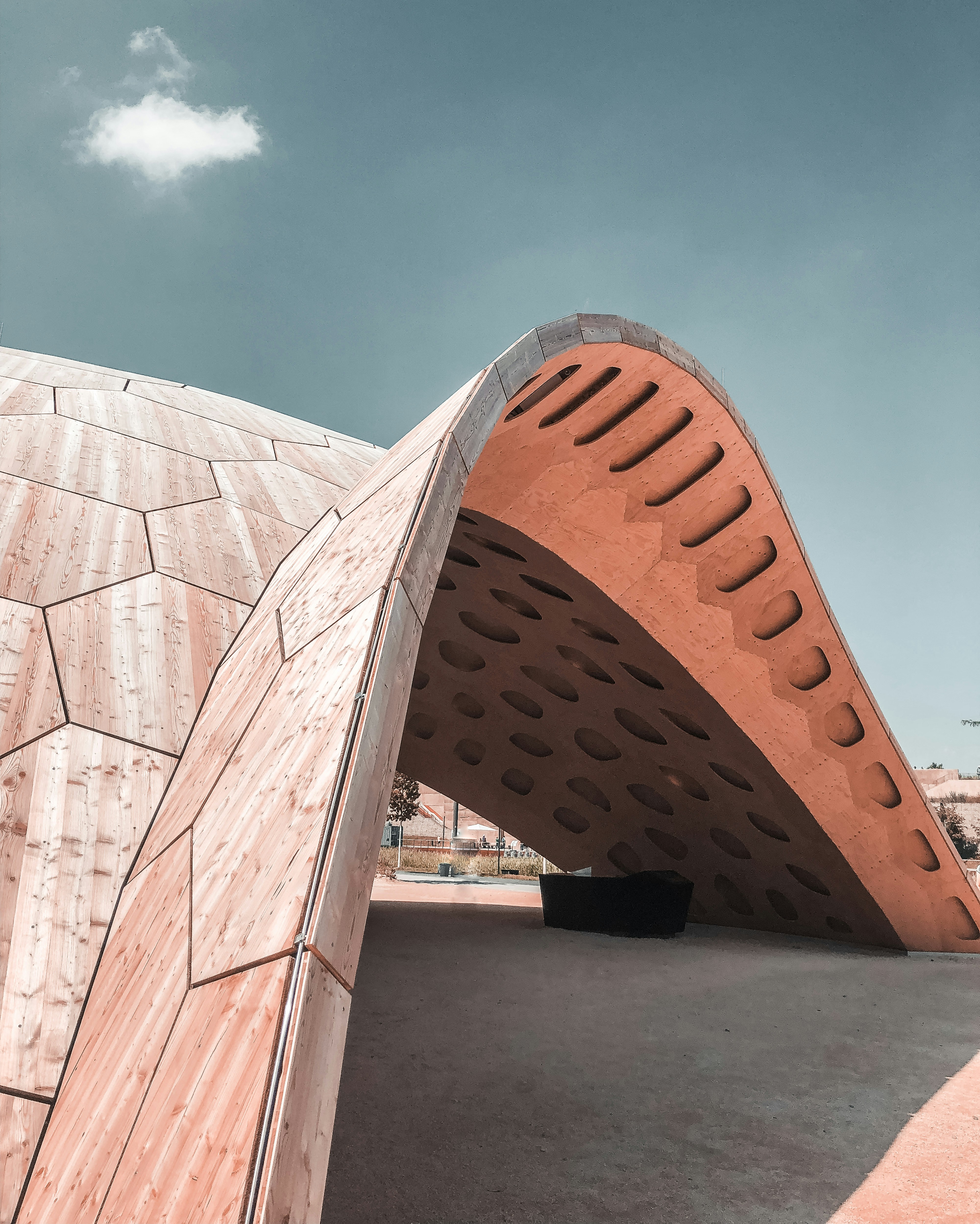 Arc of Timber: a sculptural pavilion bending light across a sunlit plaza