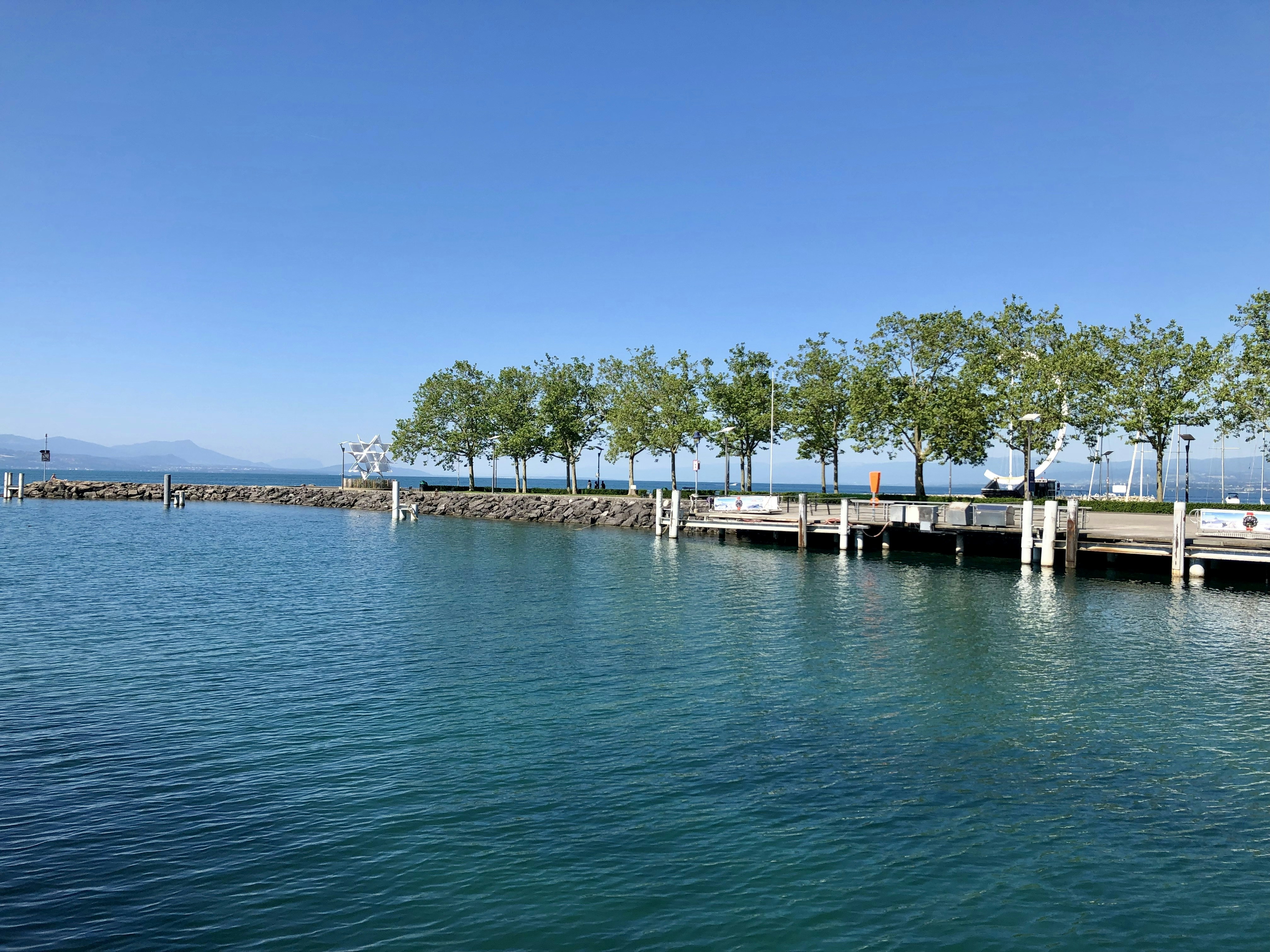 Foto Campo de árboles verdes al lado del cuerpo de agua – Imagen Azul ...