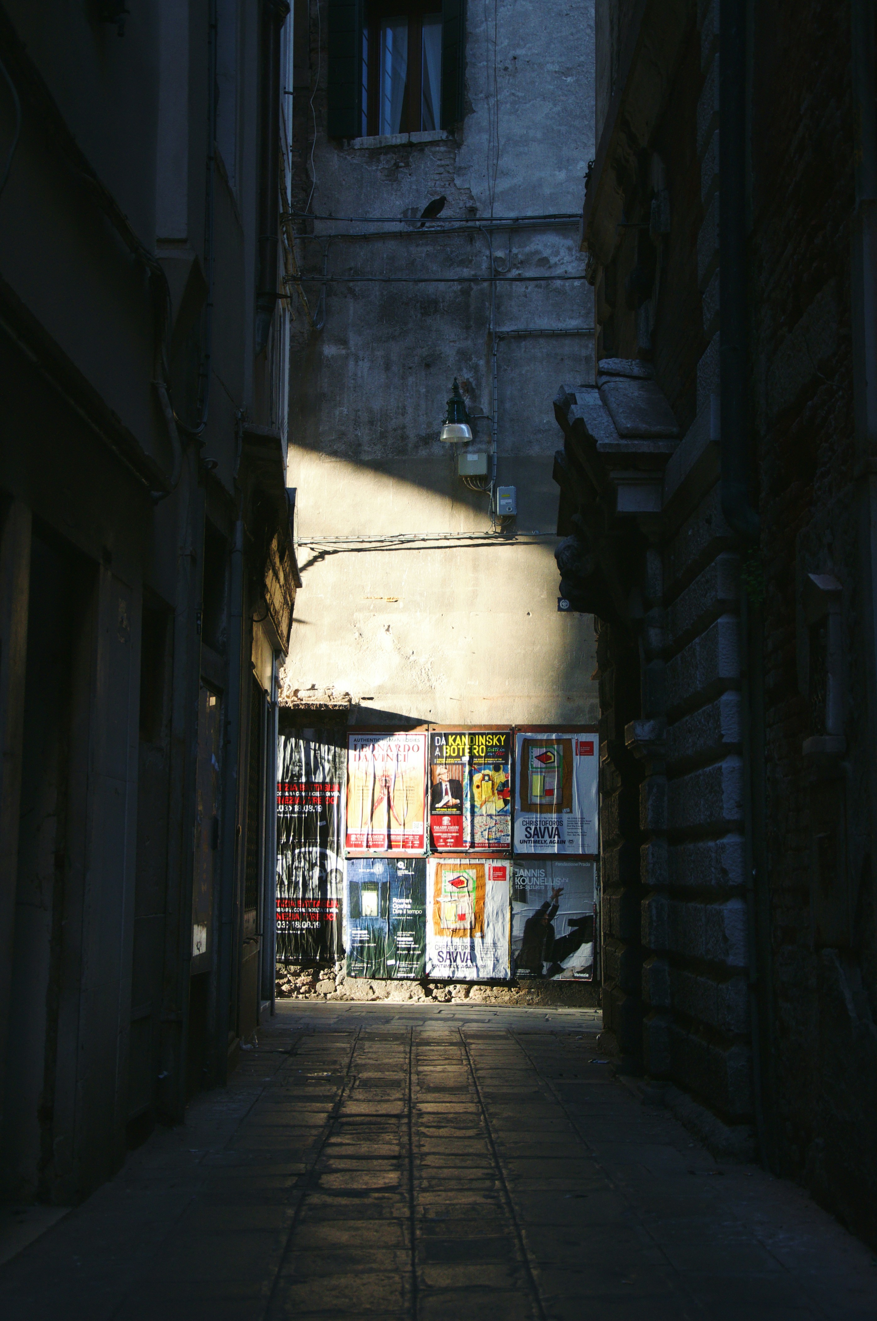 Pathway on focus photography photo – Free Street photography Image on ...