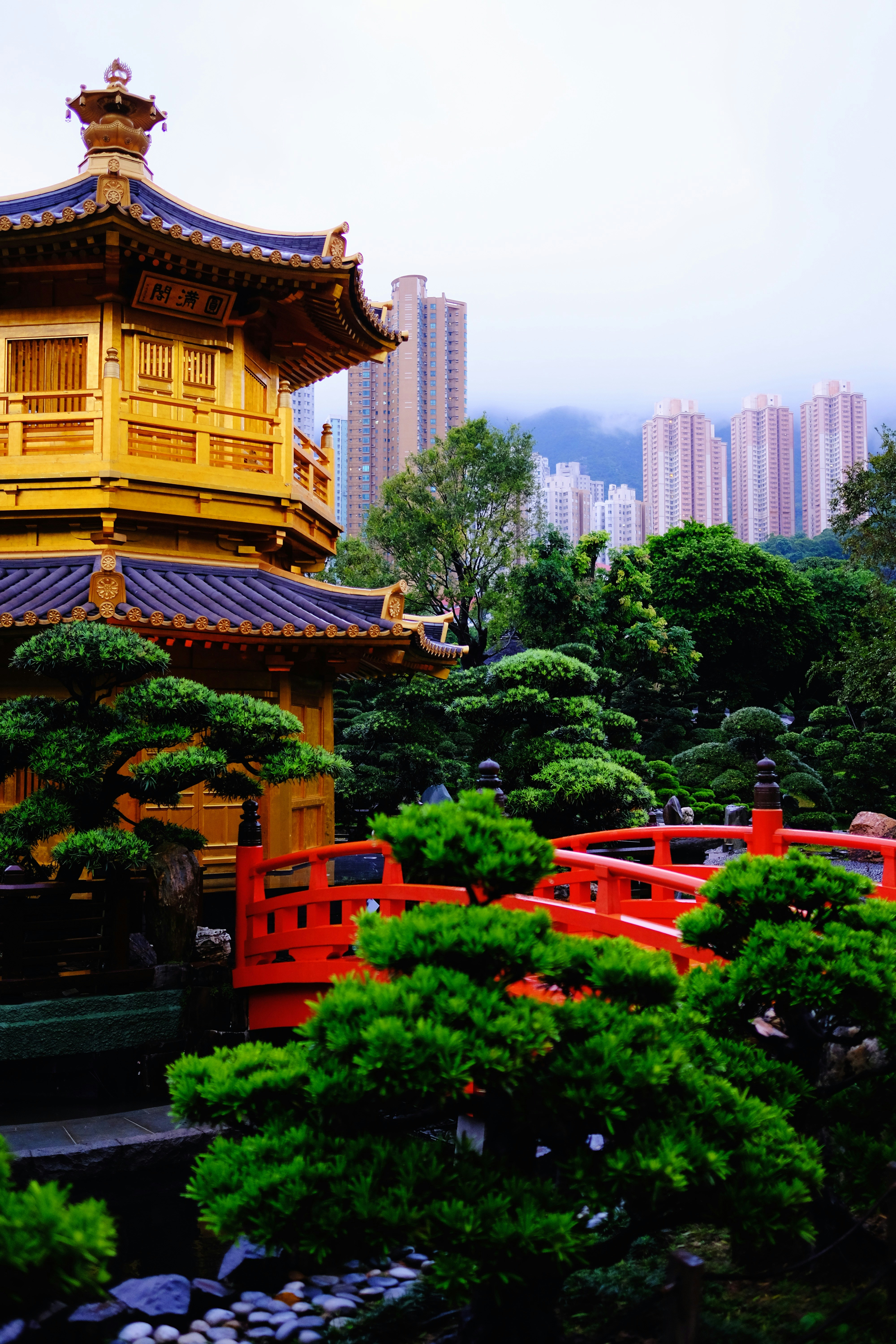 © pixelperfektion – thank you, for crediting and supporting us! 

Hongkong gardens with huge skyscrapers in the back