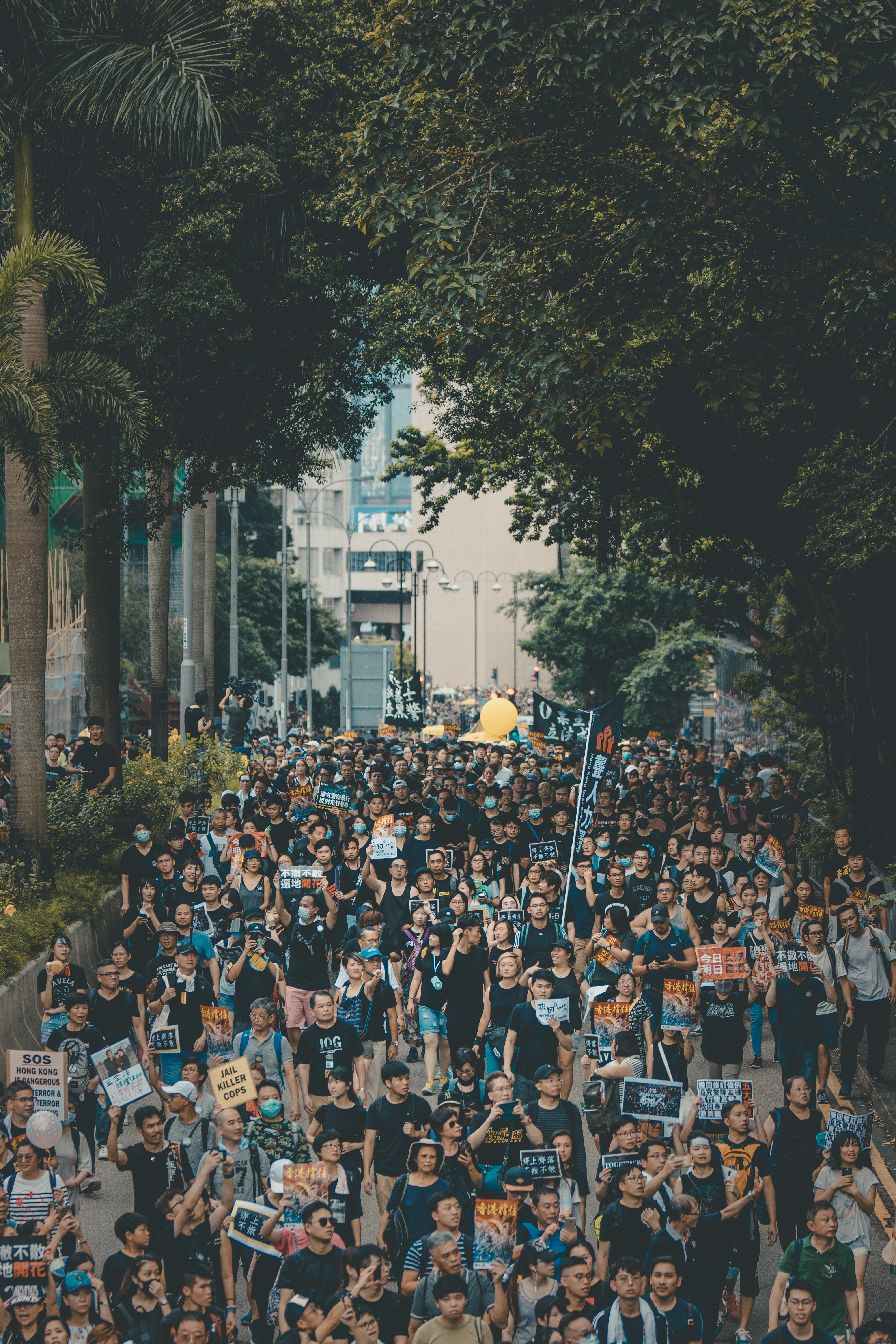 People protesting on road photo – Free Grey Image on Unsplash